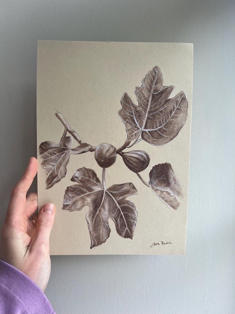 Fig Branch | Charcoal Drawing | Botanical Art | Fruit Art | Original ...