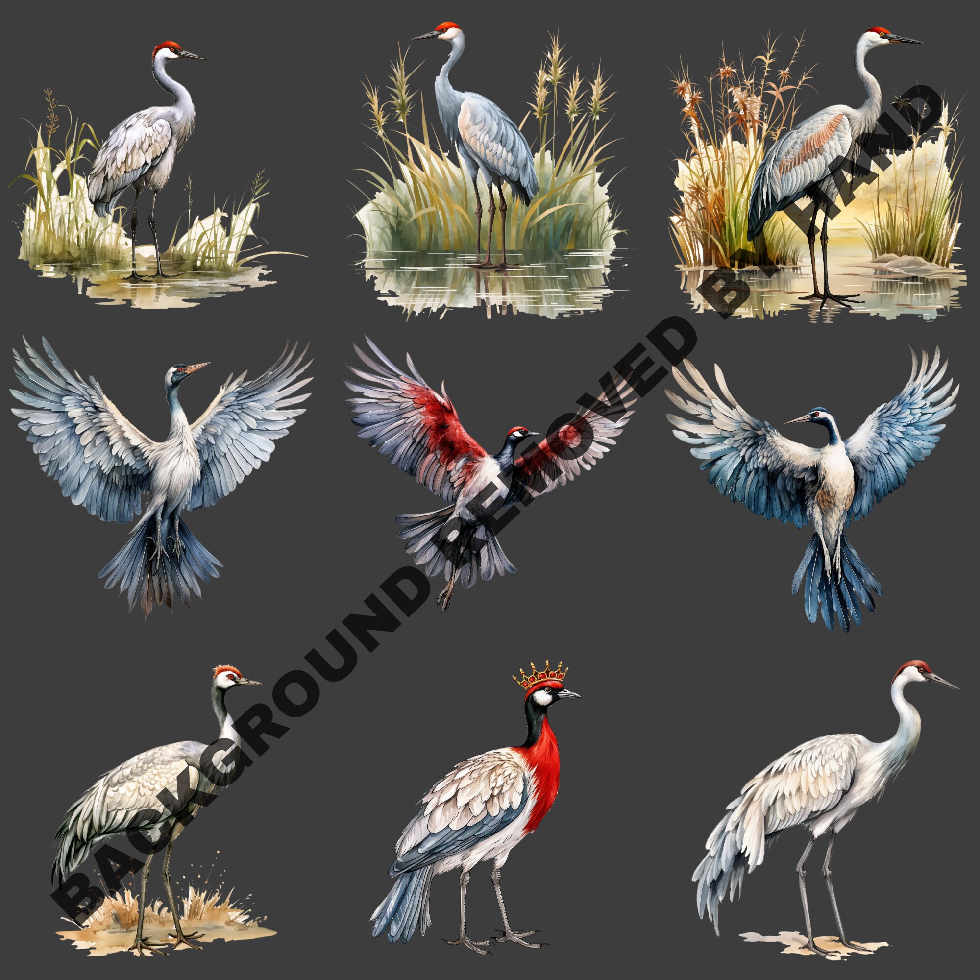 Watercolor Crane Clipart Bundle: Transparent PNG Images (commercial Use ...