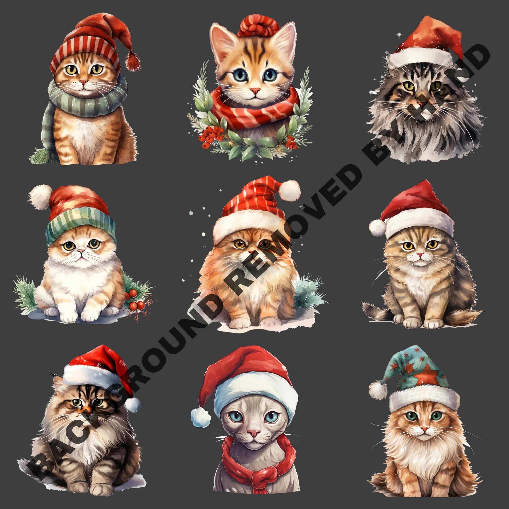 50 Watercolor Cat Christmas PNG Clipart Bundle - Etsy