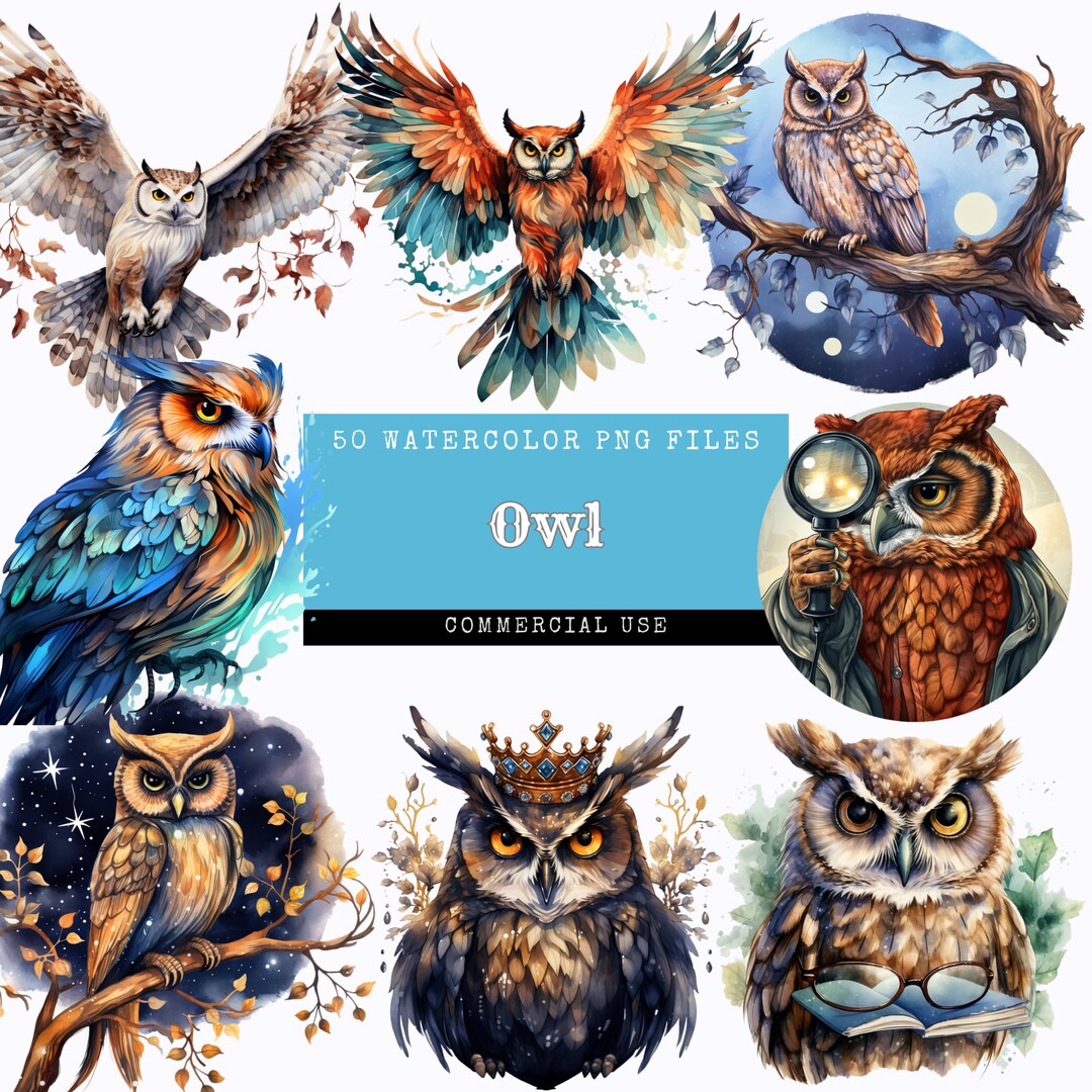 50 Watercolor Owl Cliparts, Owl Bundle, Birds, Night, PNG Files ...