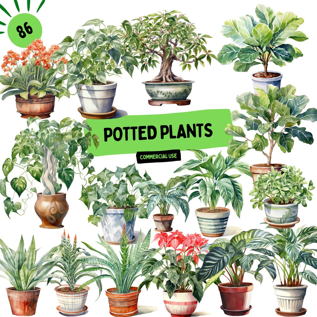 86 Potted Plants Png Clipart Plants Clipart Bundle - Etsy