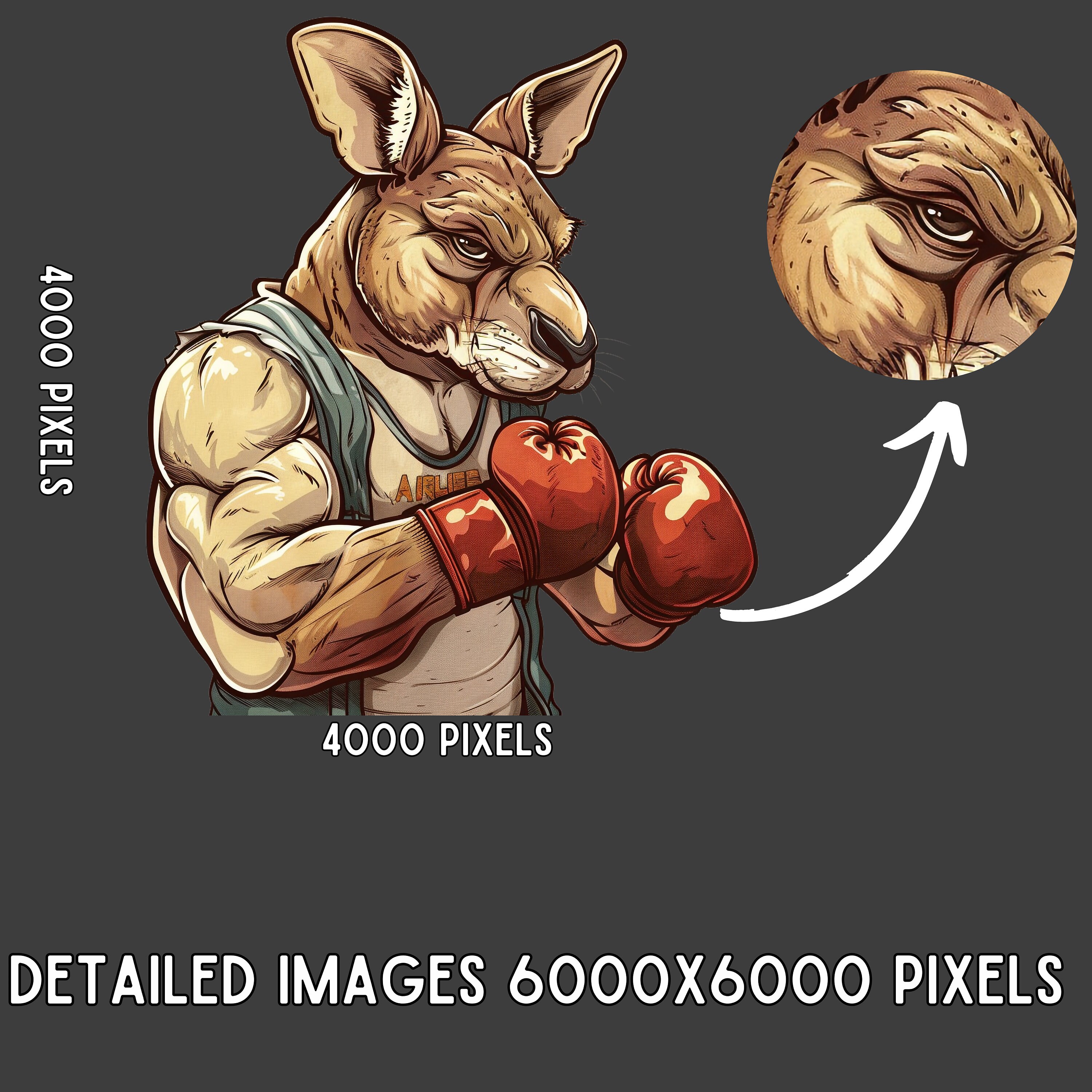 Boxing Kangaroo Clipart, Shirt Design, Png File, Transparent Background ...