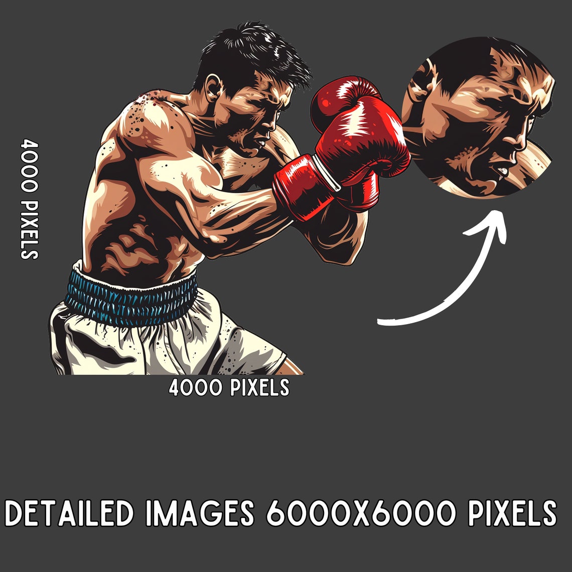 Boxing Design, Boxing Gloves, Boxing Champion, Boxing Sport, High ...