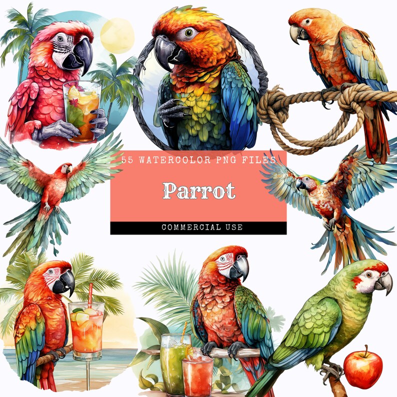 55 Watercolor Parrot Cliparts Tropical Bundle Birds - Etsy