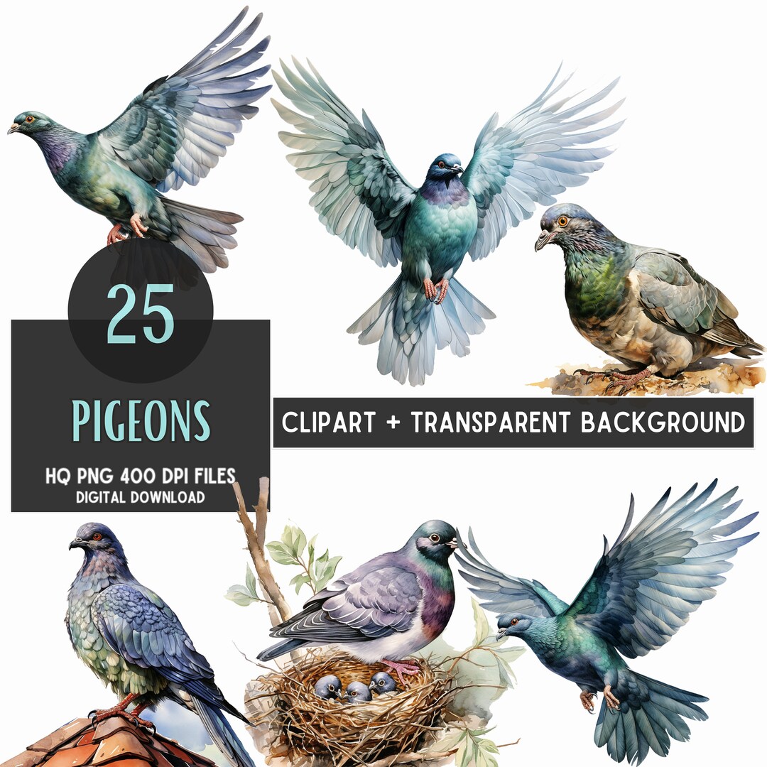 25 Watercolor Pigeon Bird Png - Bird Clipart Bundle, Transparent ...