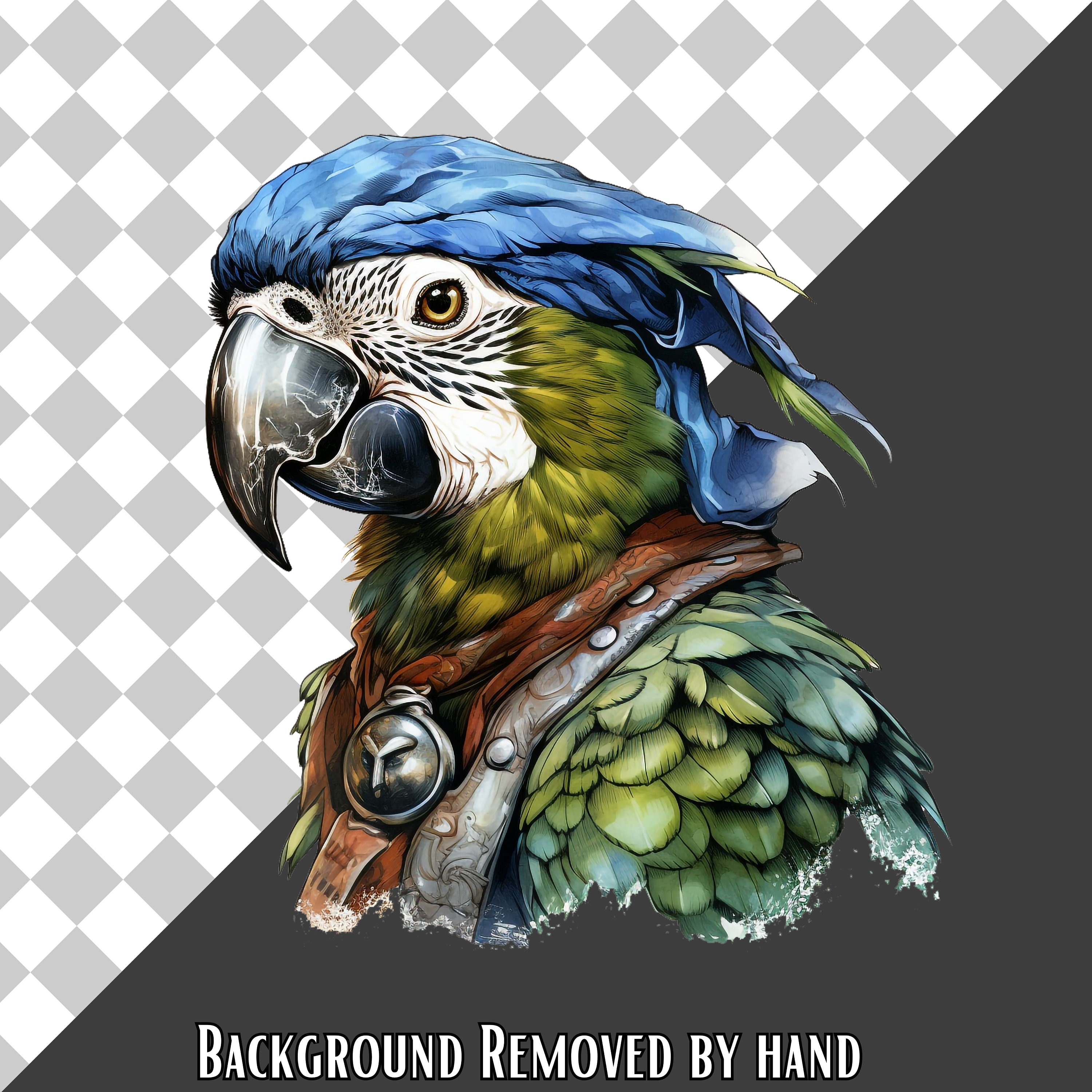 55 Watercolor Parrot Cliparts, Tropical Bundle, Birds, Vacation, Beach ...