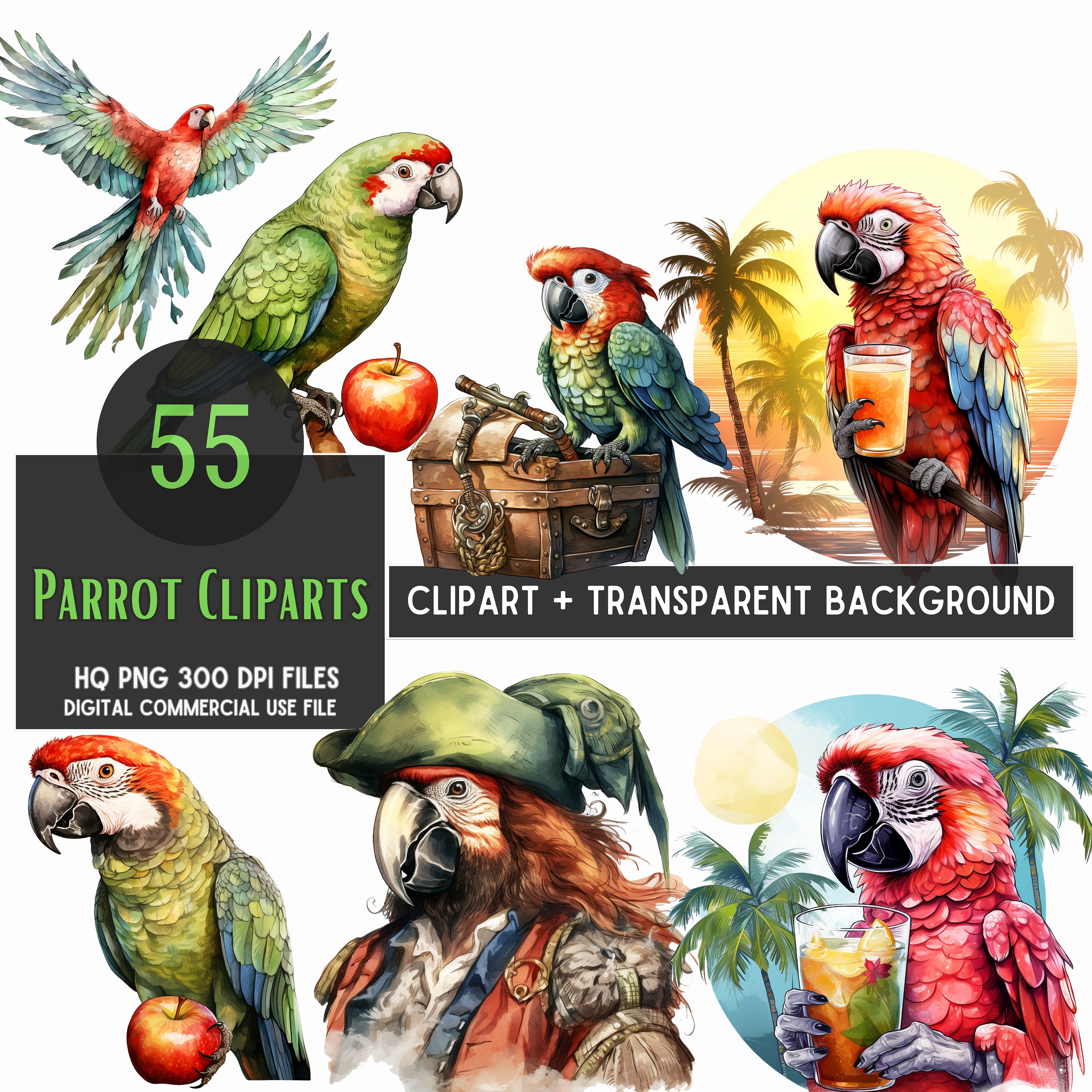 55 Watercolor Parrot Cliparts, Tropical Bundle, Birds, Vacation, Beach ...