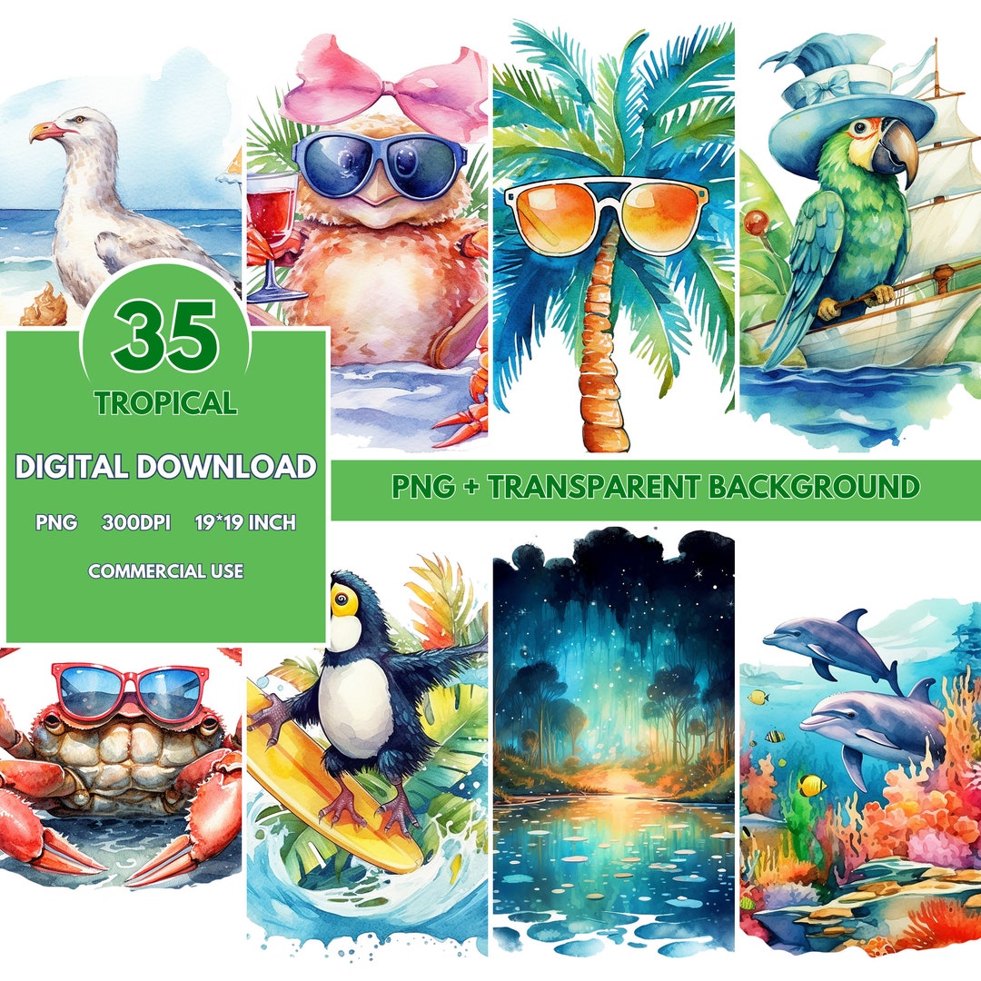 35 Watercolor Tropical Png Cliparts, Tropical Designs, Seagull Png ...