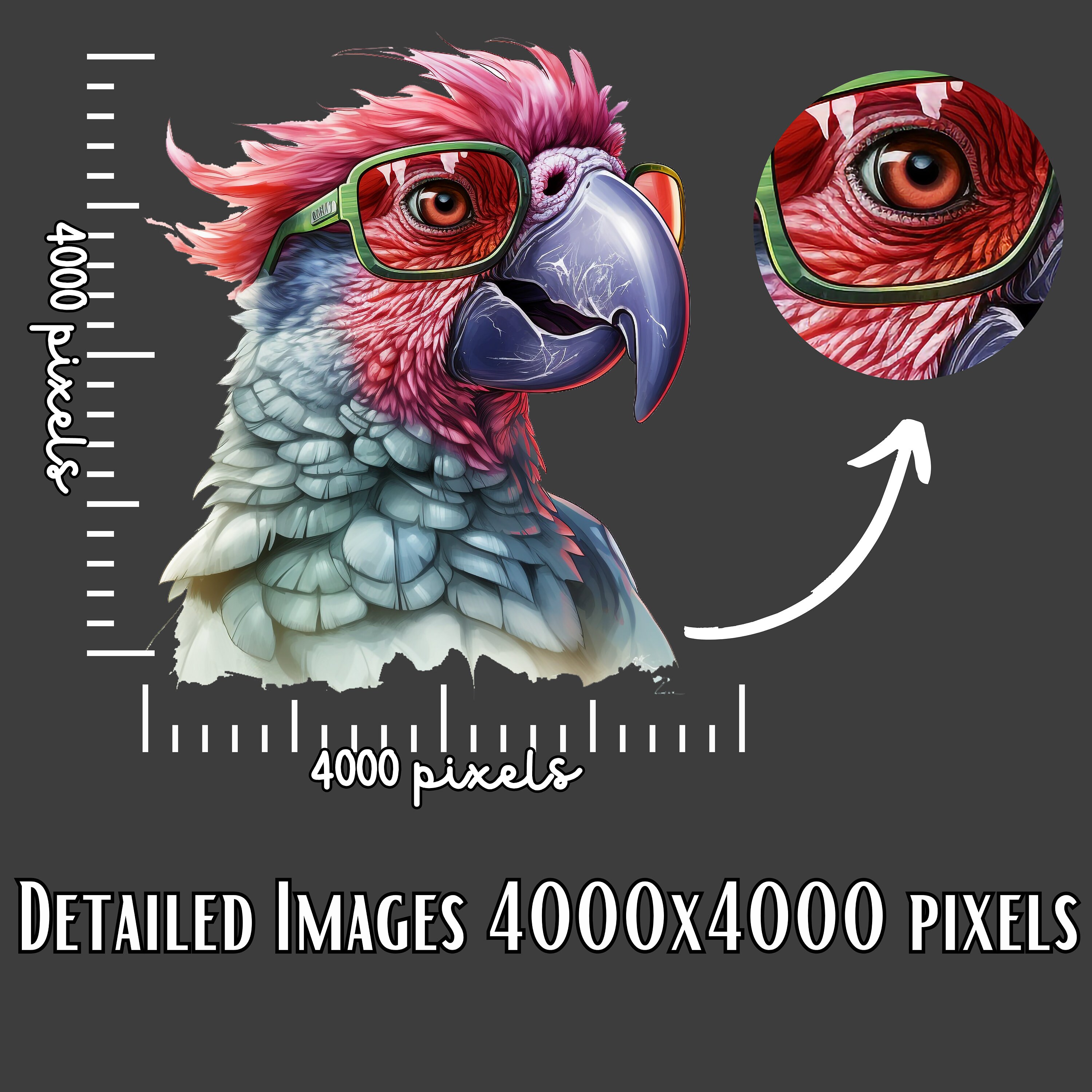 55 Watercolor Parrot Cliparts, Tropical Bundle, Birds, Vacation, Beach ...