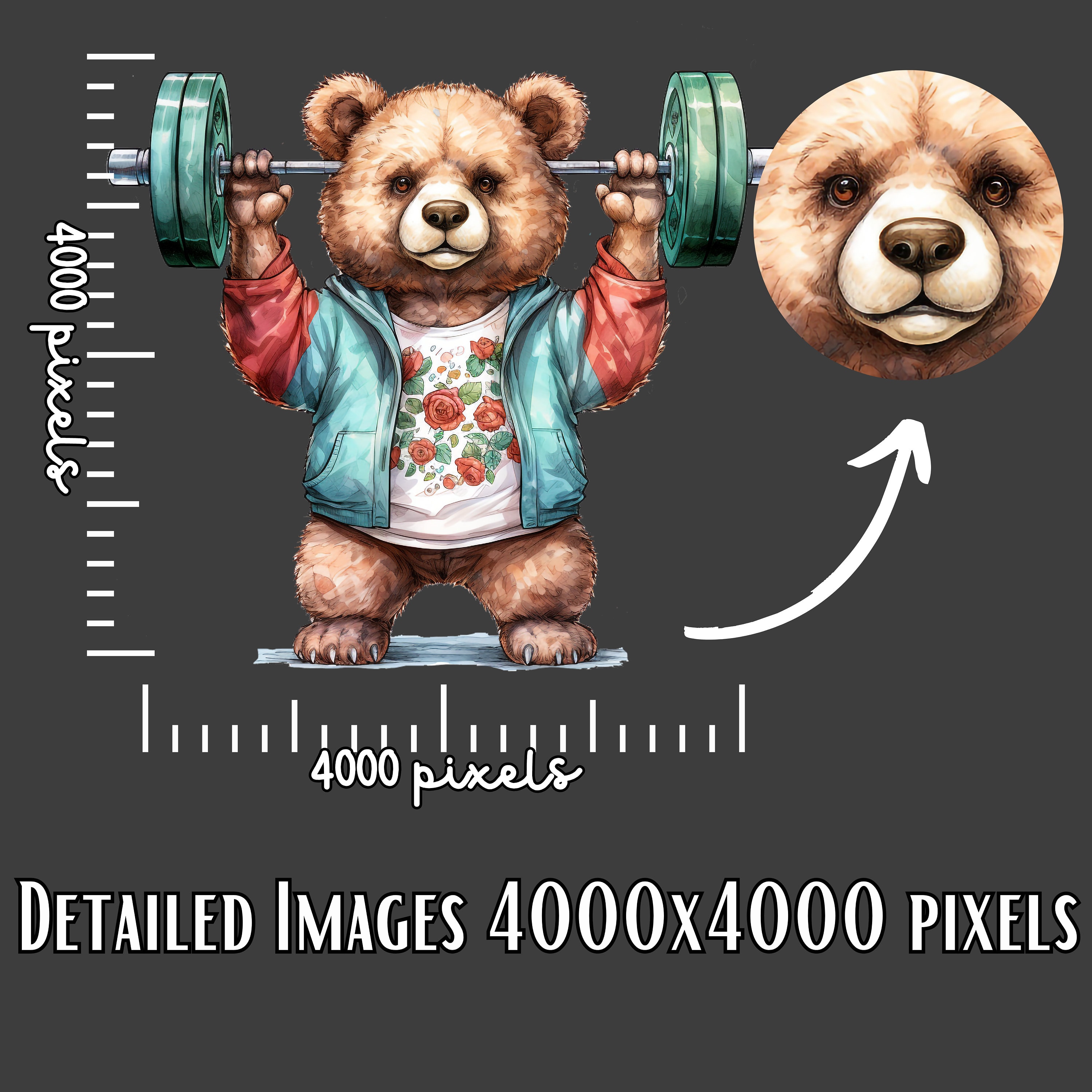 Gym Teddy Bear Clipart Bundle: Watercolor Weightlifting Designs ...