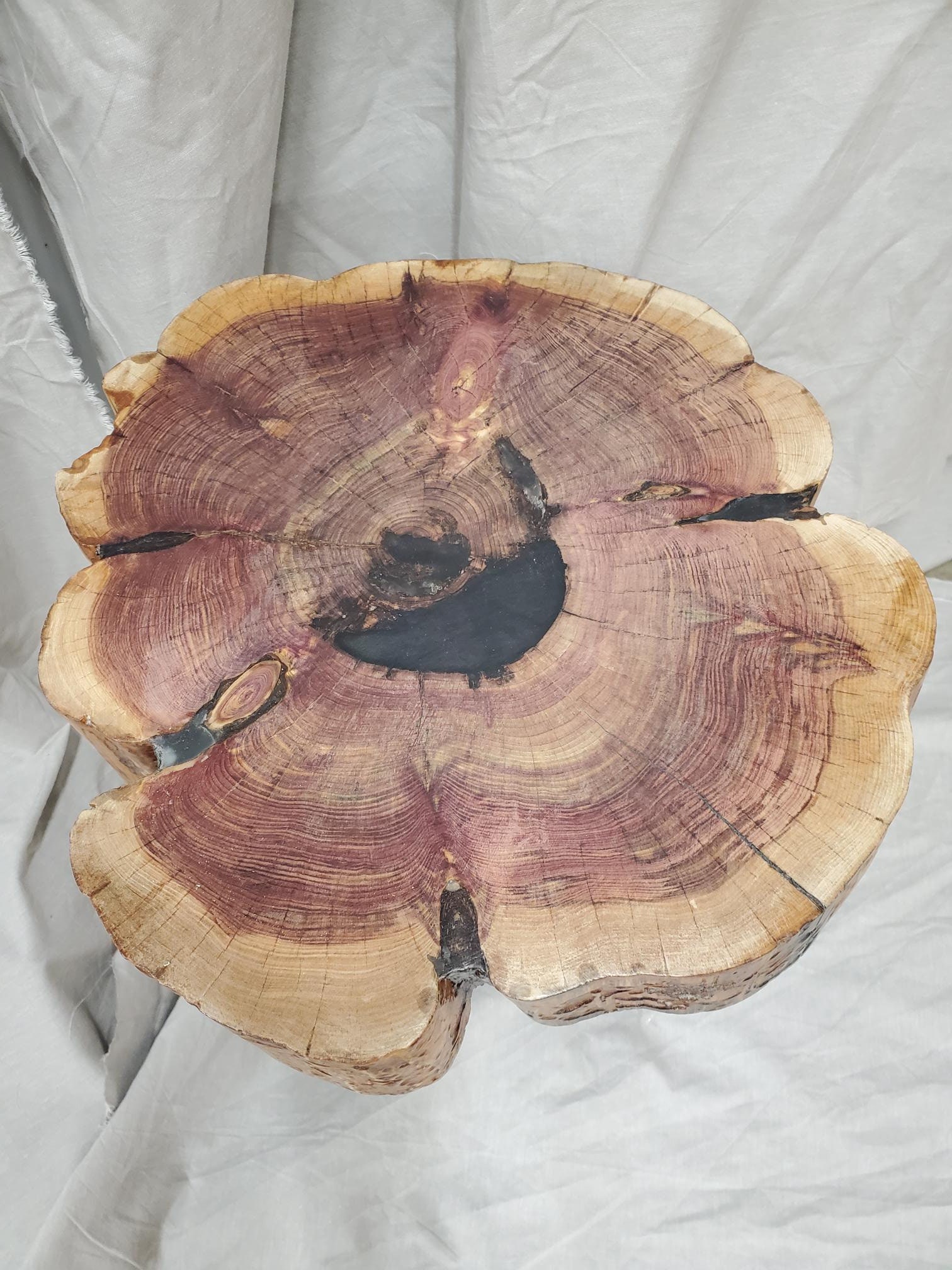 Cedar Slice Table - Etsy