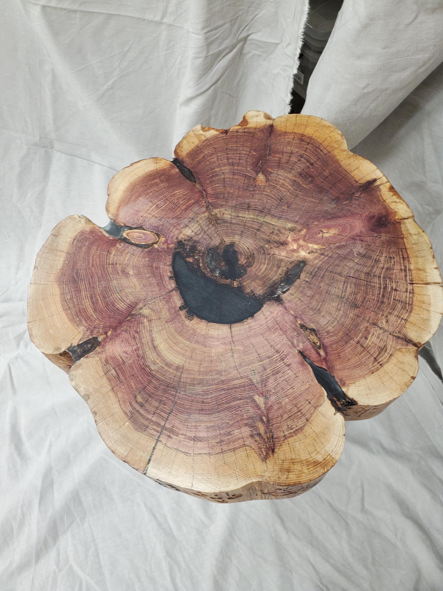 Cedar Slice Table - Etsy