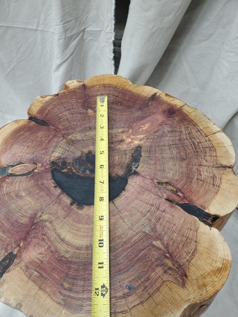 Cedar Slice Table - Etsy
