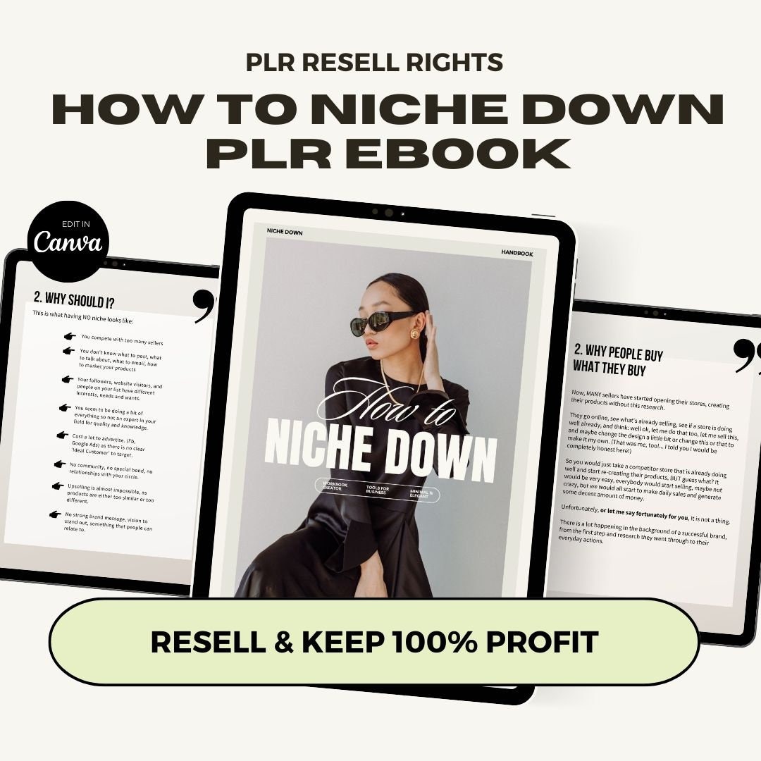 PLR How to Find Your Niche Digital Product Ebook, Private Label Rights Canva Template, Master ...