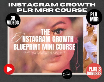 Instagram Growth Blueprint Course With Master Resell Rights MRR PLR ...