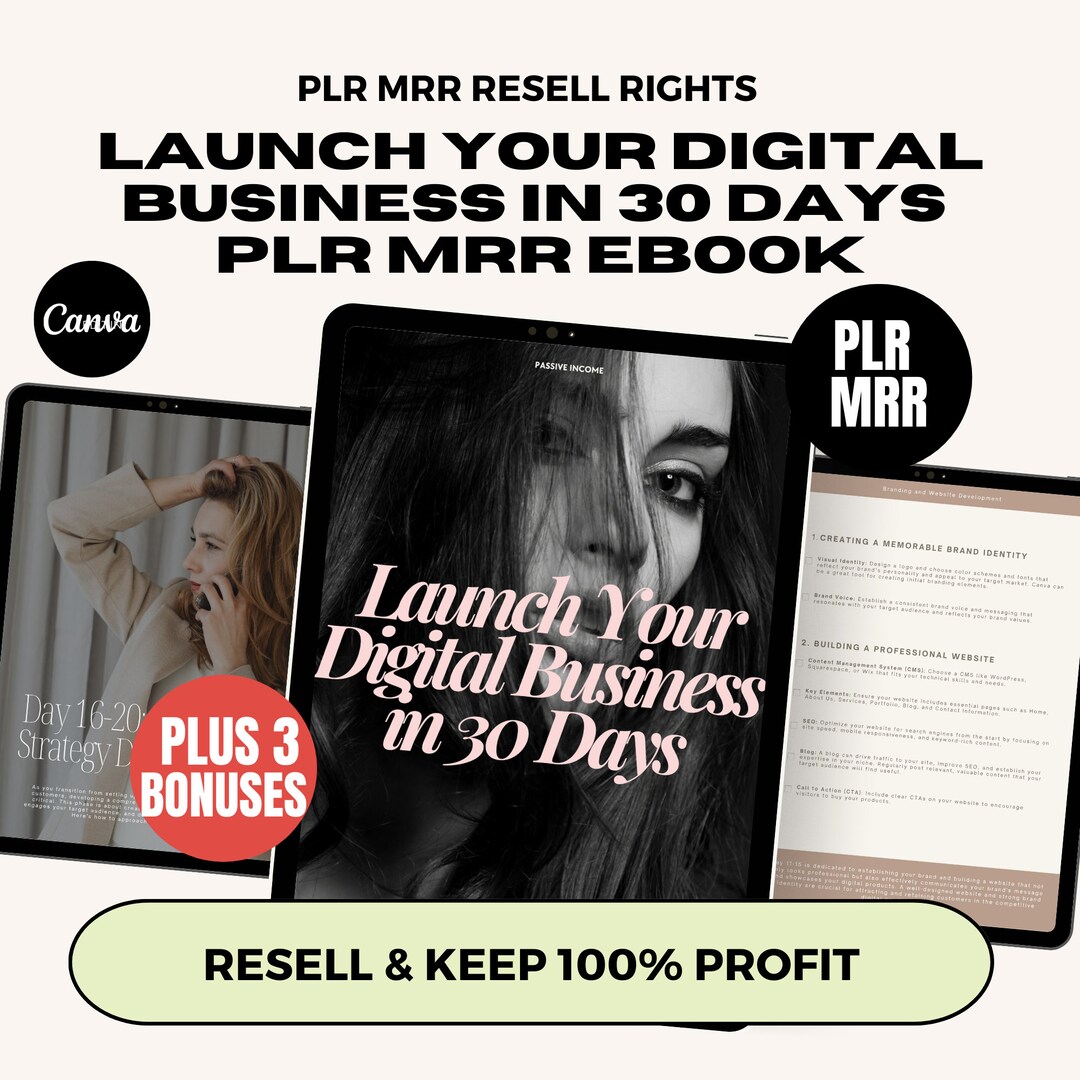 MRR PLR How to Sell Digital Products Private Label Right Master Resell ...