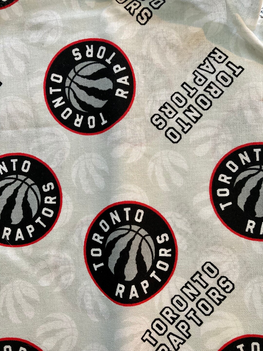 Toronto Raptors CORNHOLE Bags - Etsy