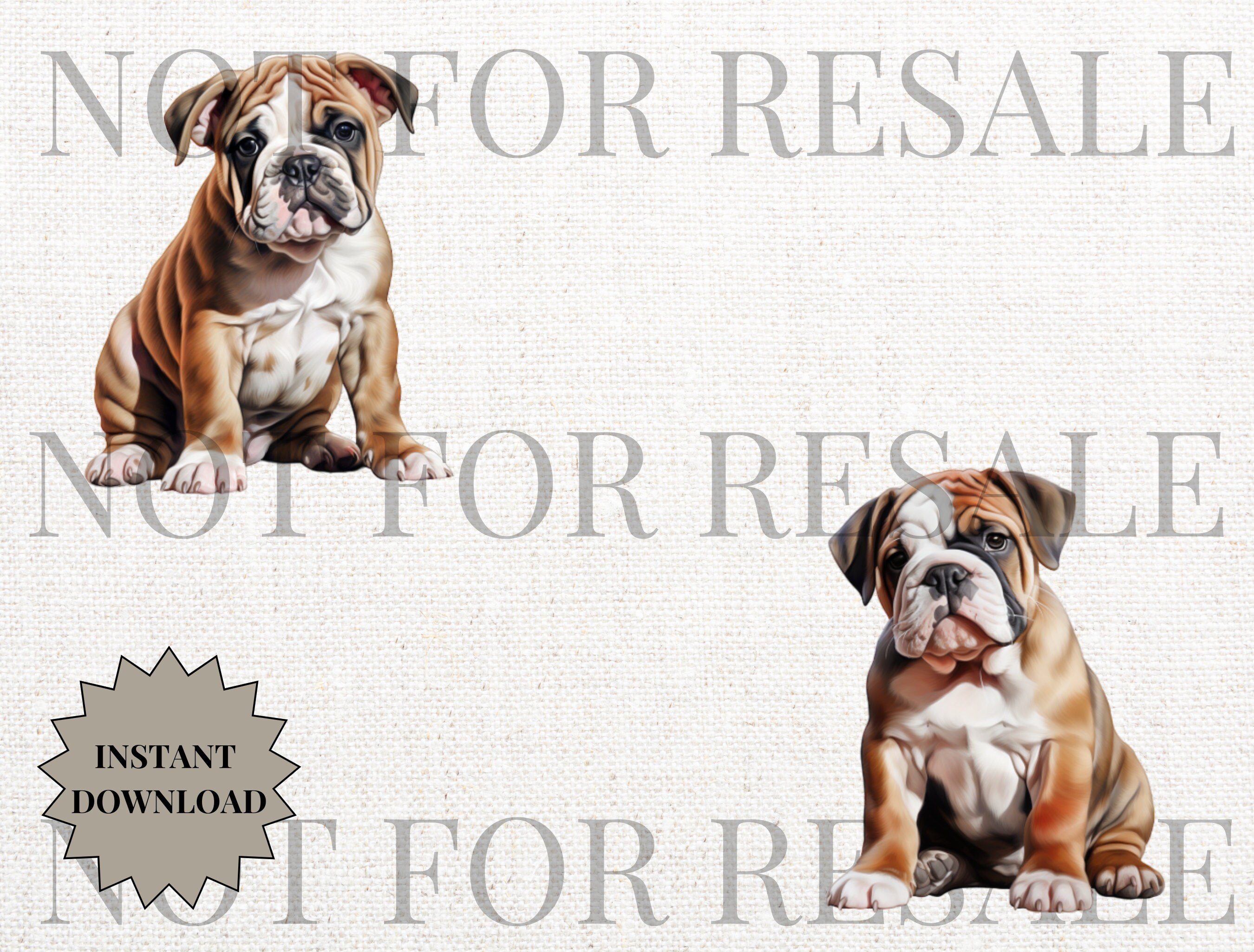 Bulldog Svgs .SVG Bulldog English Bulldogs English - Etsy