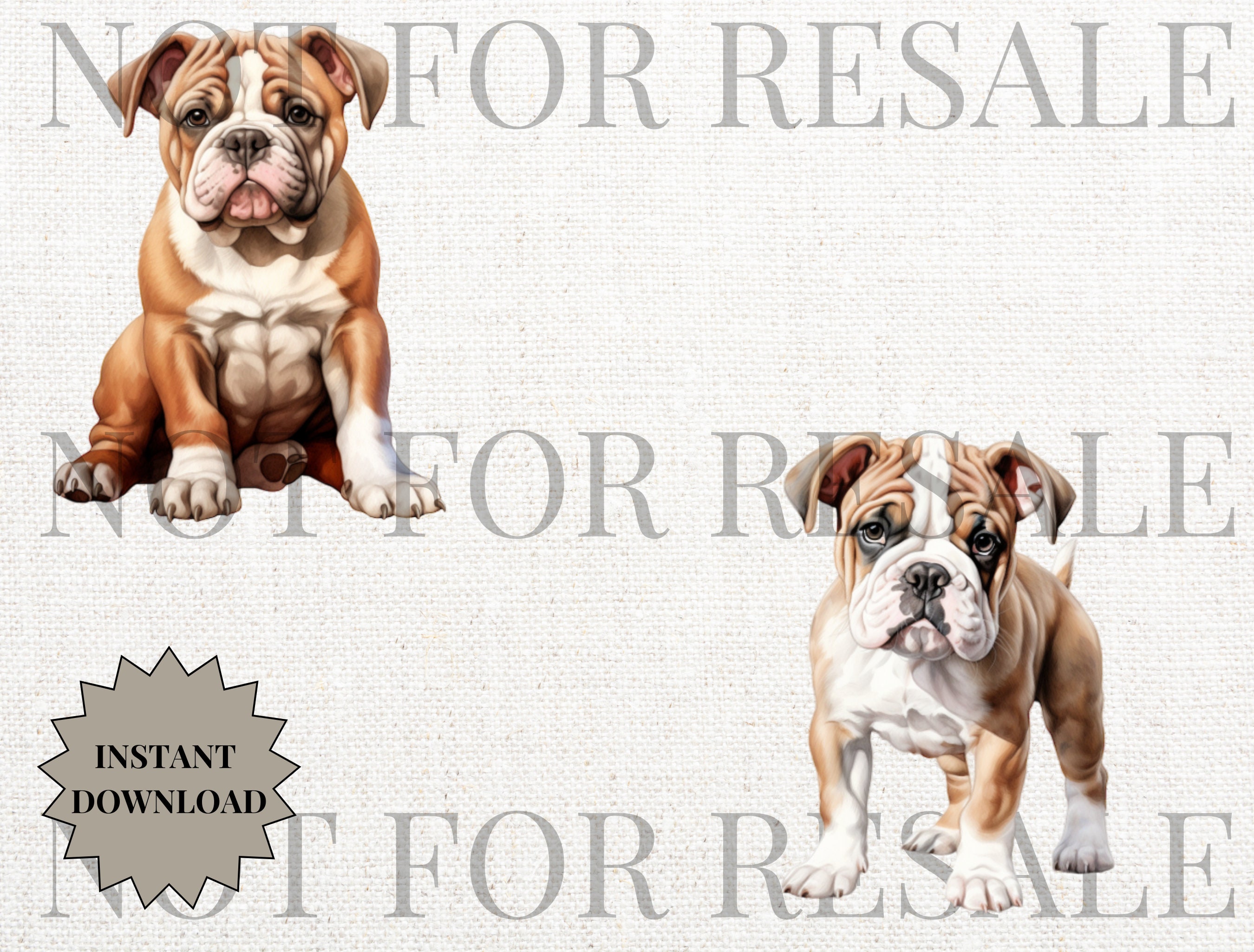 Bulldog Svgs .SVG Bulldog English Bulldogs English - Etsy
