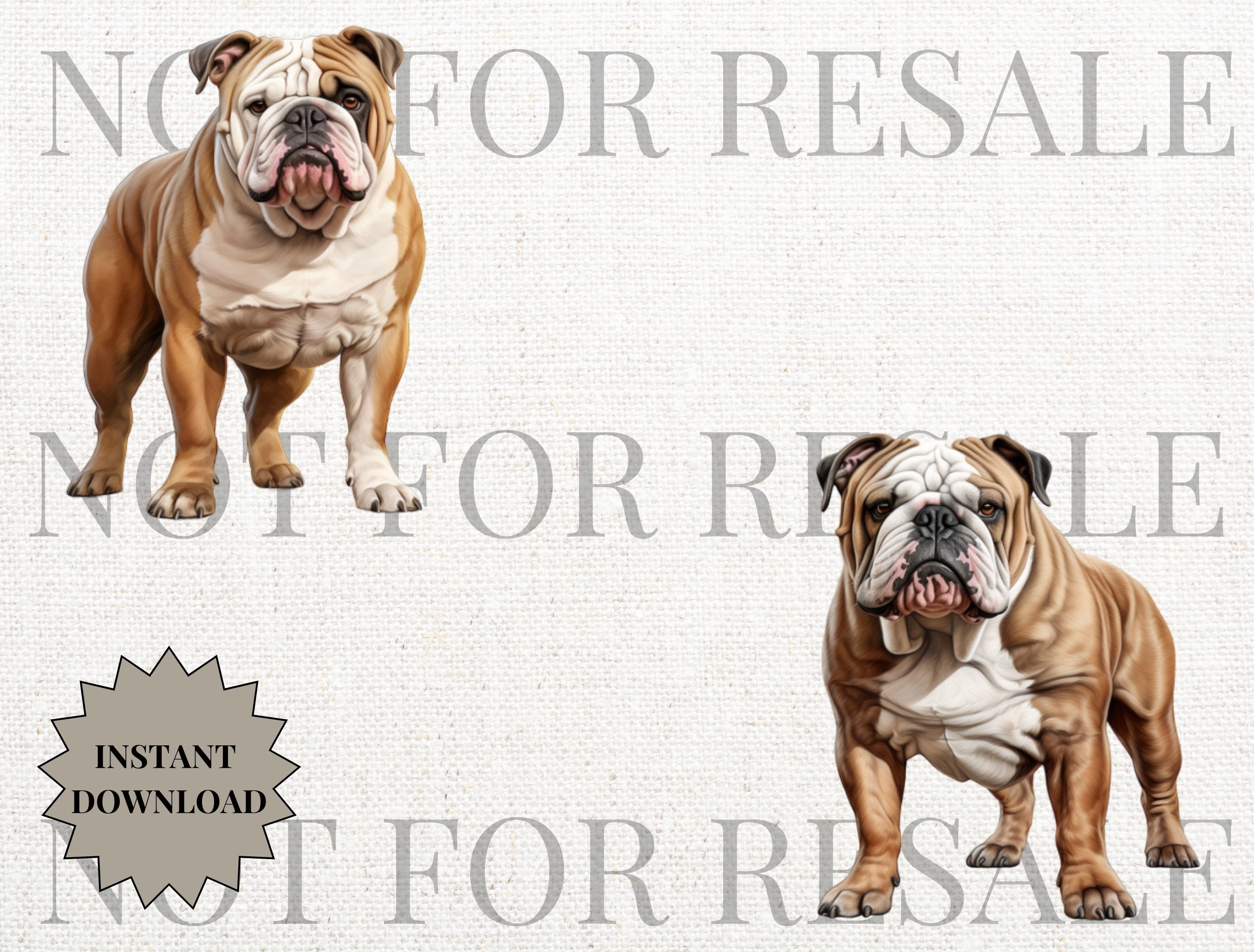 Bulldog Svgs .SVG Bulldog English Bulldogs English - Etsy