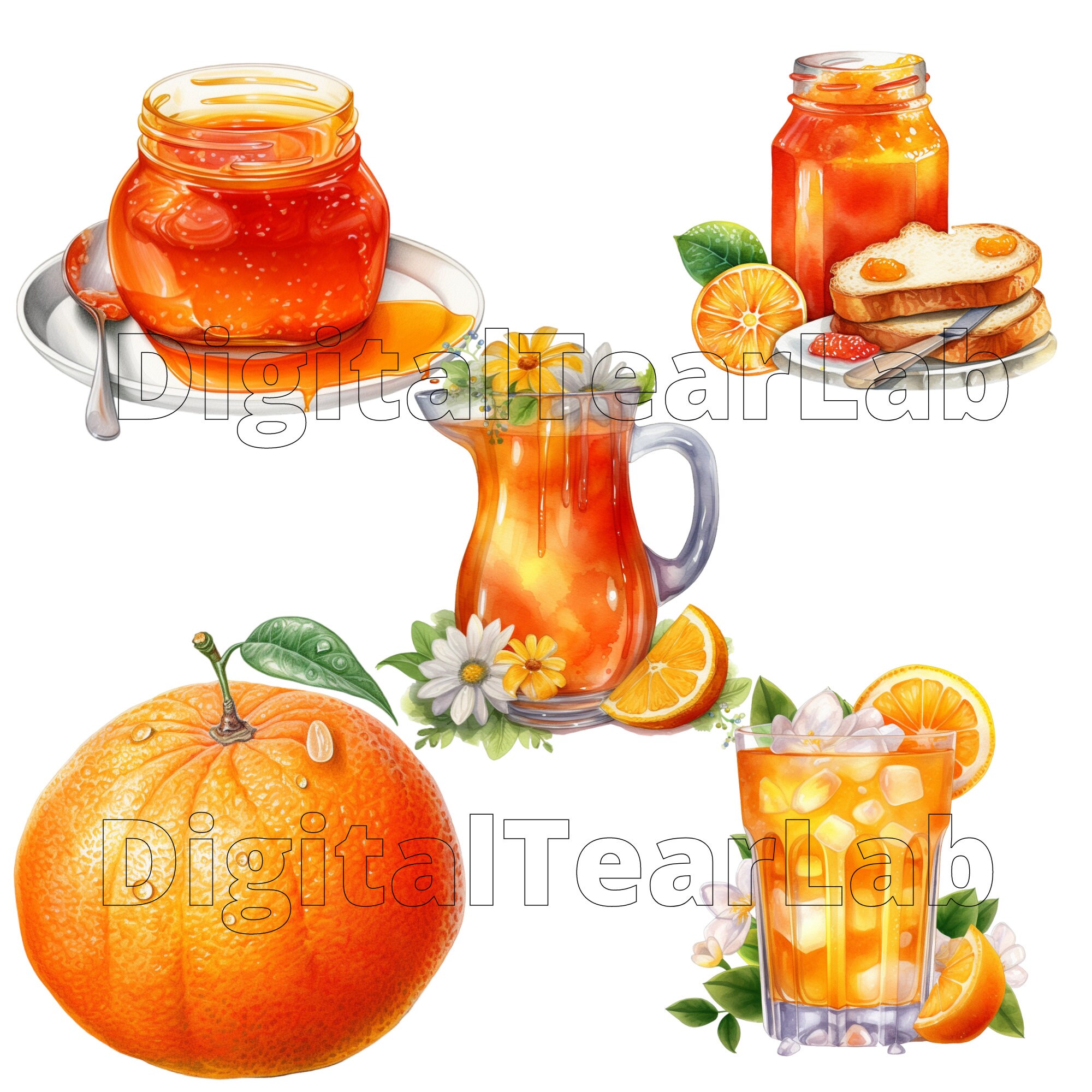 Orange Watercolor Clipart Orange Bundle PNG Sicilian Dream - Etsy