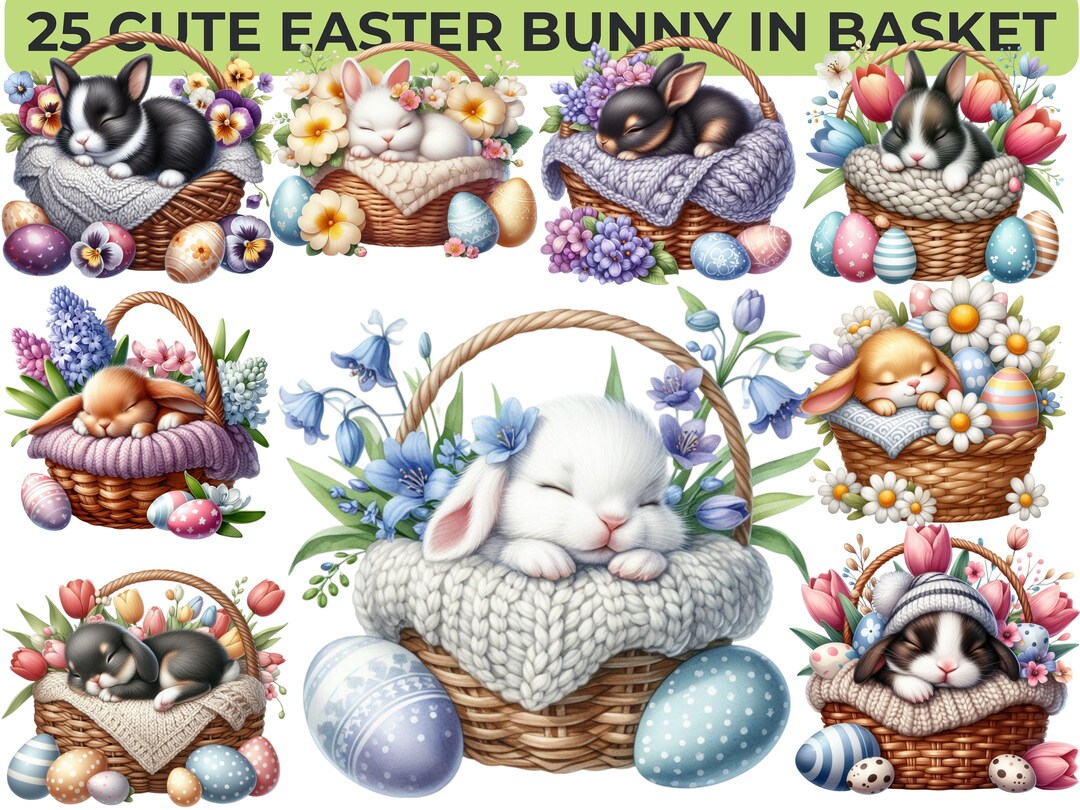 25 Easter Bunny in a Basket Clipart Bundle – Adorable Easter Clipart ...