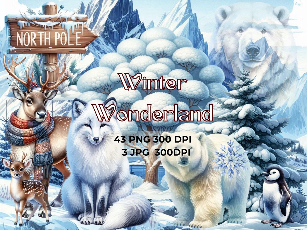 Winter Wonderland Clipart Bundle, Polar Bear, Arctic Circle Clipart ...