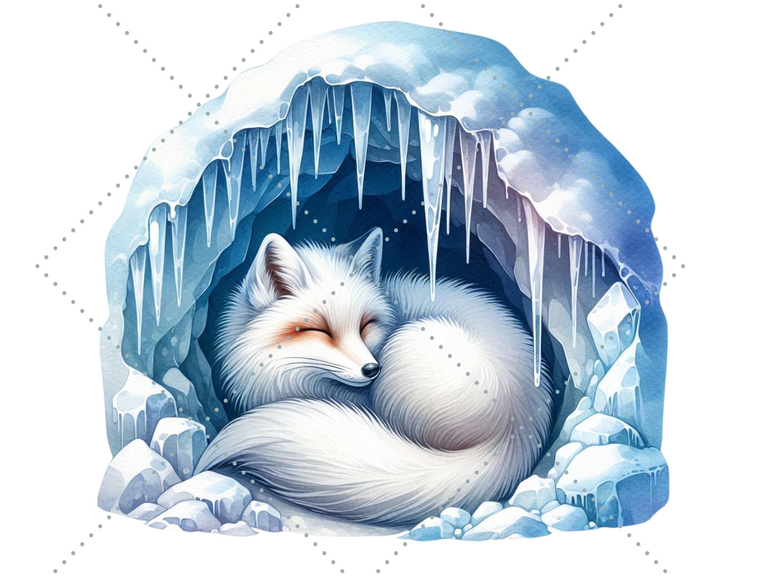 Winter Wonderland Clipart Bundle, Polar Bear, Arctic Circle Clipart ...