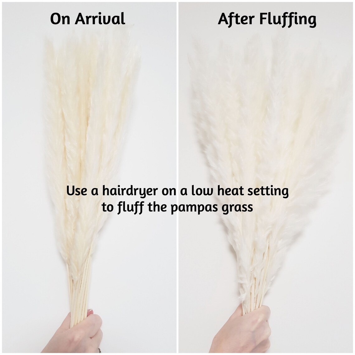 Natural Dried White Pampas Grass Decor, 30 Small Stems 45cm Long, Boho ...
