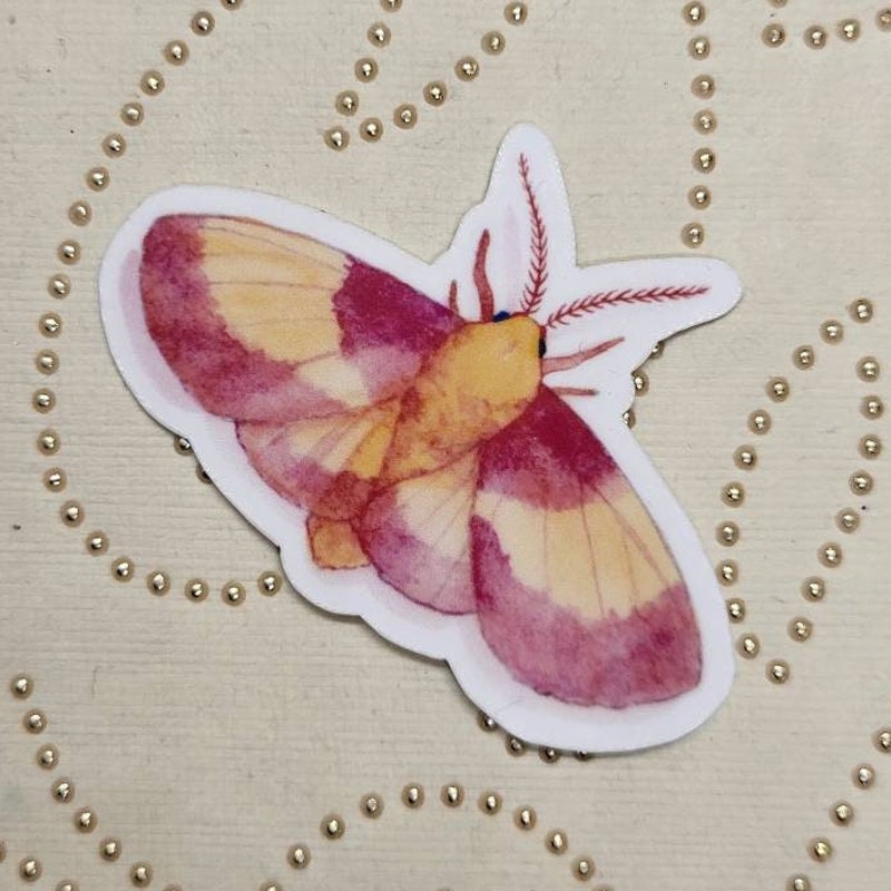 Moth Laptop Sticker - Etsy