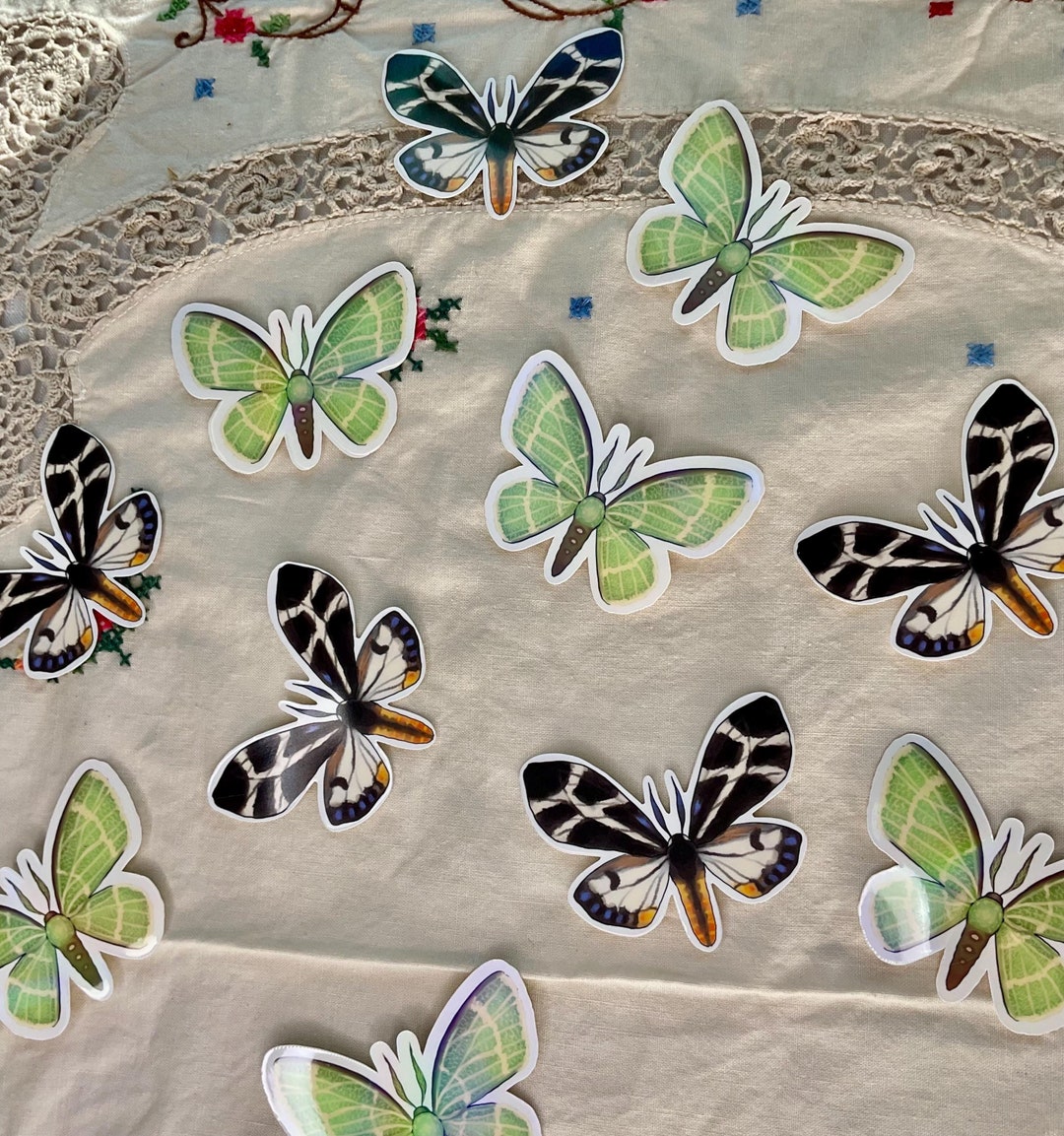 Laminated Vinyl Moth Stickers: Giant Flag Moth & Arizona Nemoria - Etsy