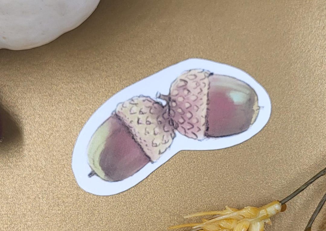 Handpainted Acorn Laminated Sticker, Nature Inspired Decal, Original ...