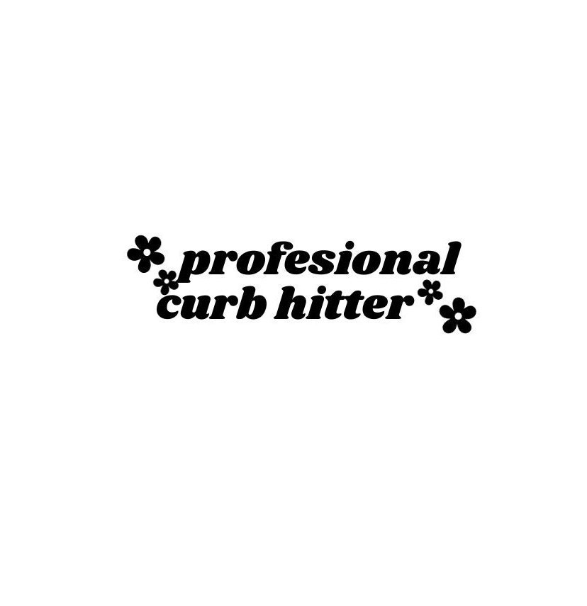 Professional Curb Hitter Vinyl Sticker - Etsy