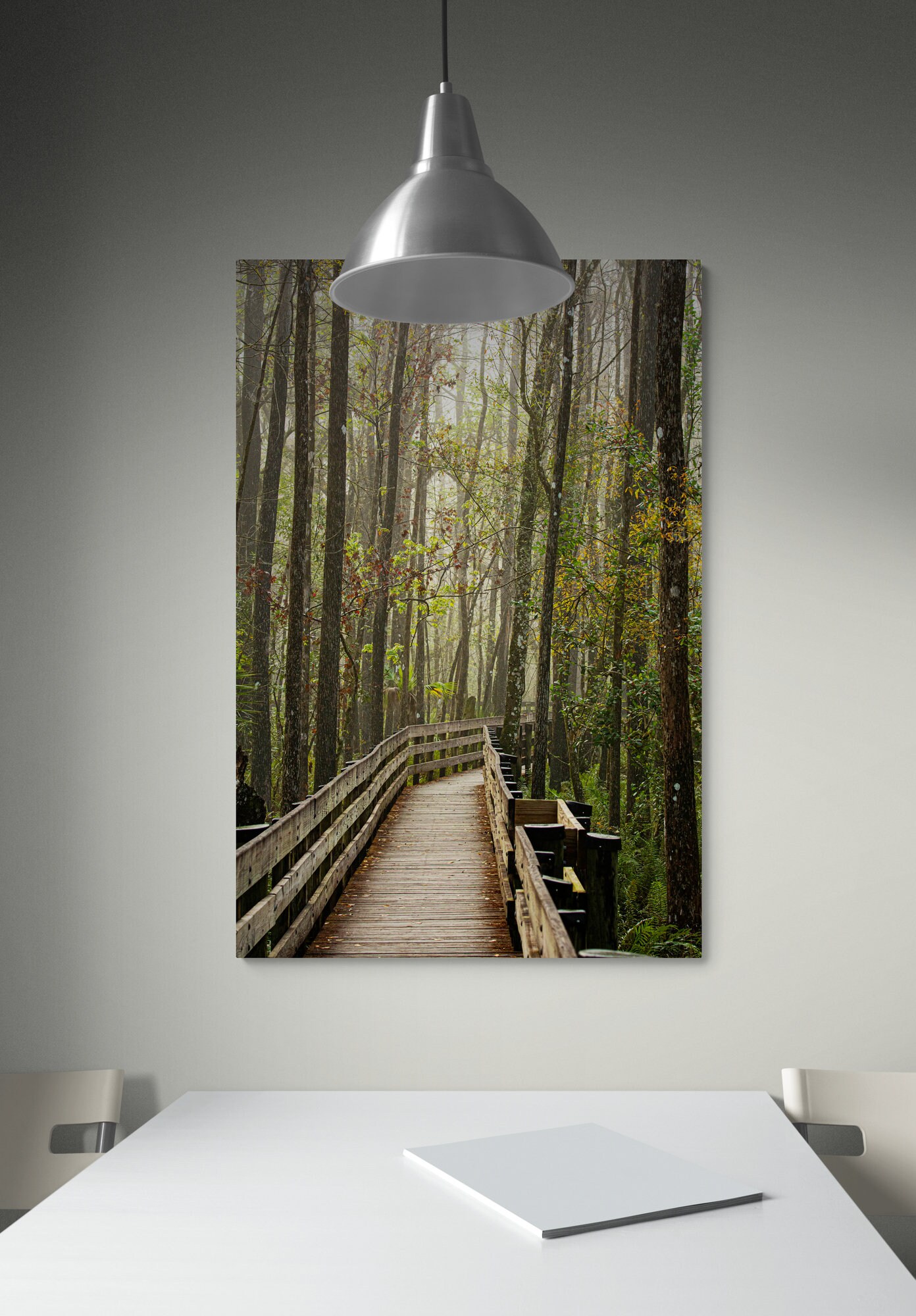 Six Mile Cypress Slough Trees and Boardwalk. Florida - Etsy