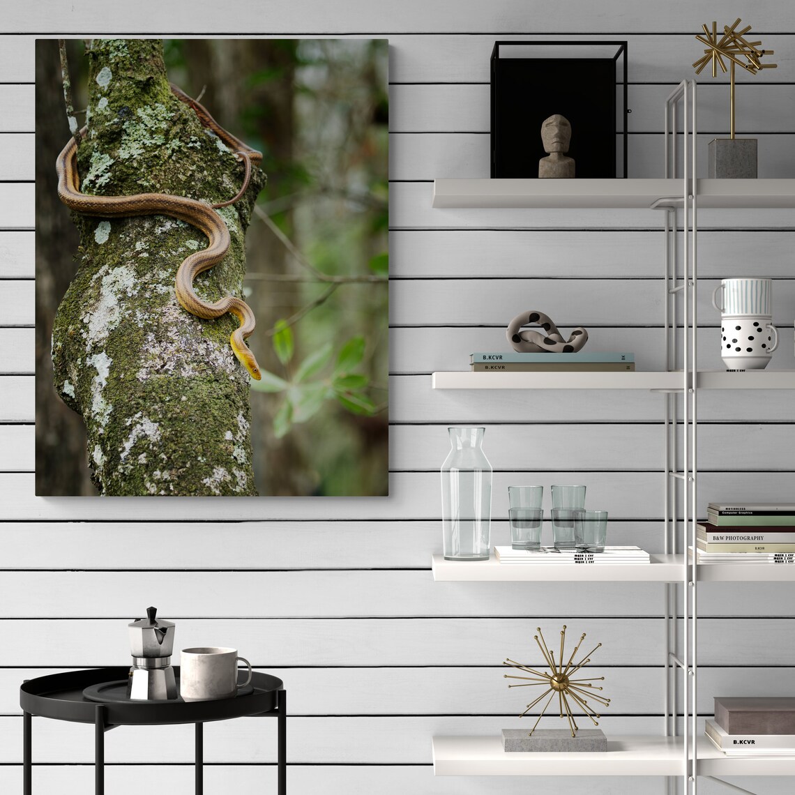 Yellow Rat Snake in Six Mile Cypress Slough Preserve Fort Myers Reptile ...