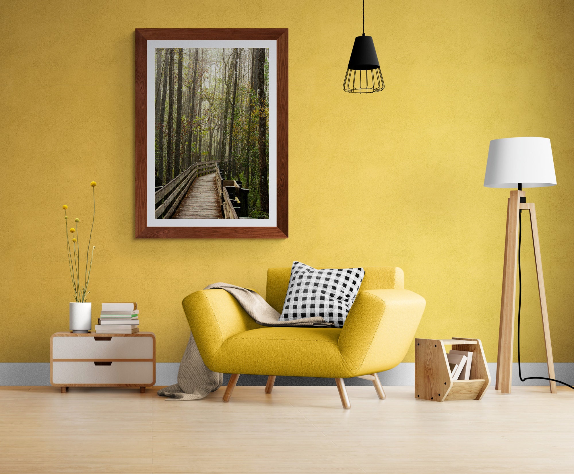 Six Mile Cypress Slough Trees and Boardwalk. Florida - Etsy