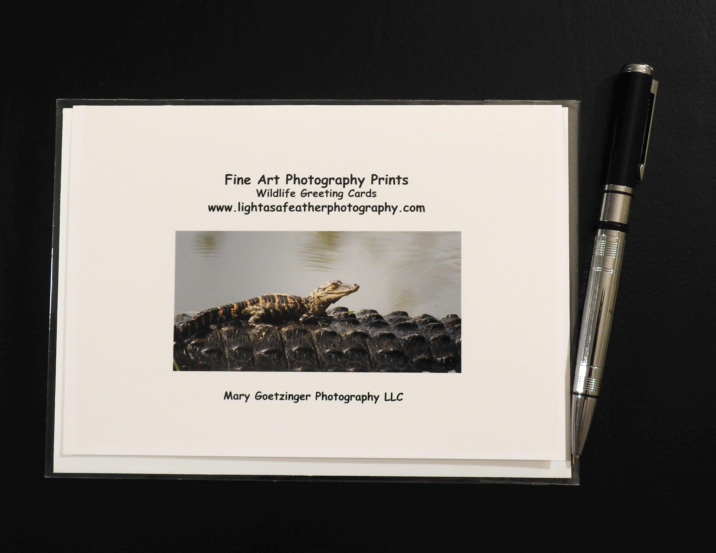 Flamingo Note Card Wildlife Artwork Nature Greeting Card - Etsy