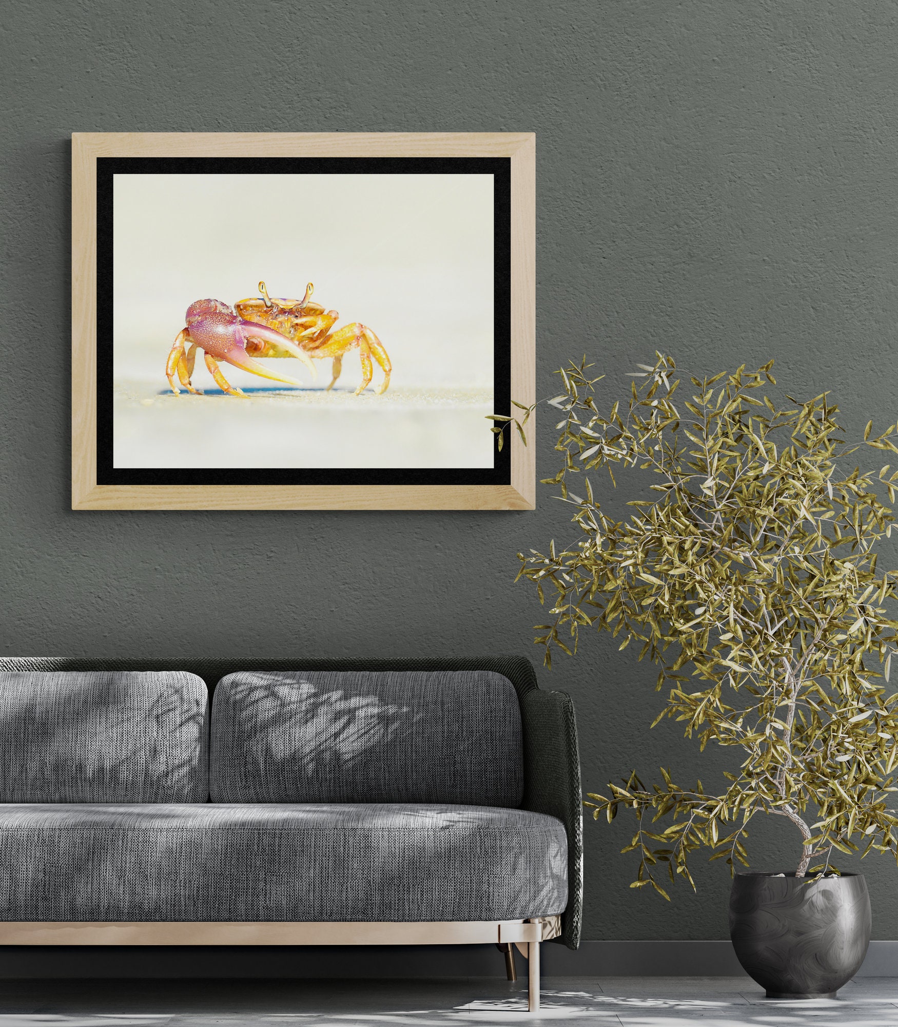 Fiddler Crab Florida Crustacean Wildlife Photo - Etsy