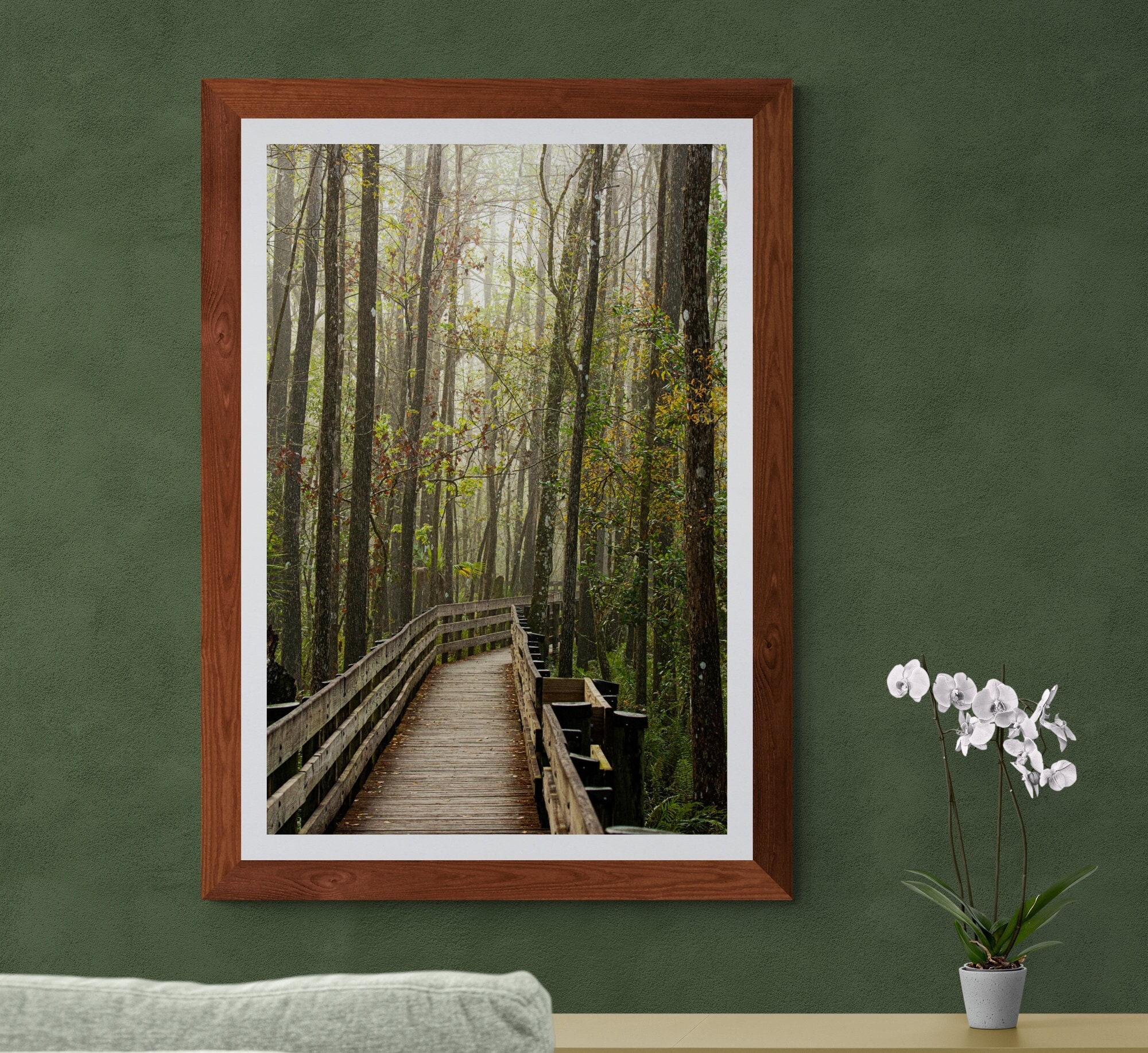Six Mile Cypress Slough Trees and Boardwalk. Florida Photography ...
