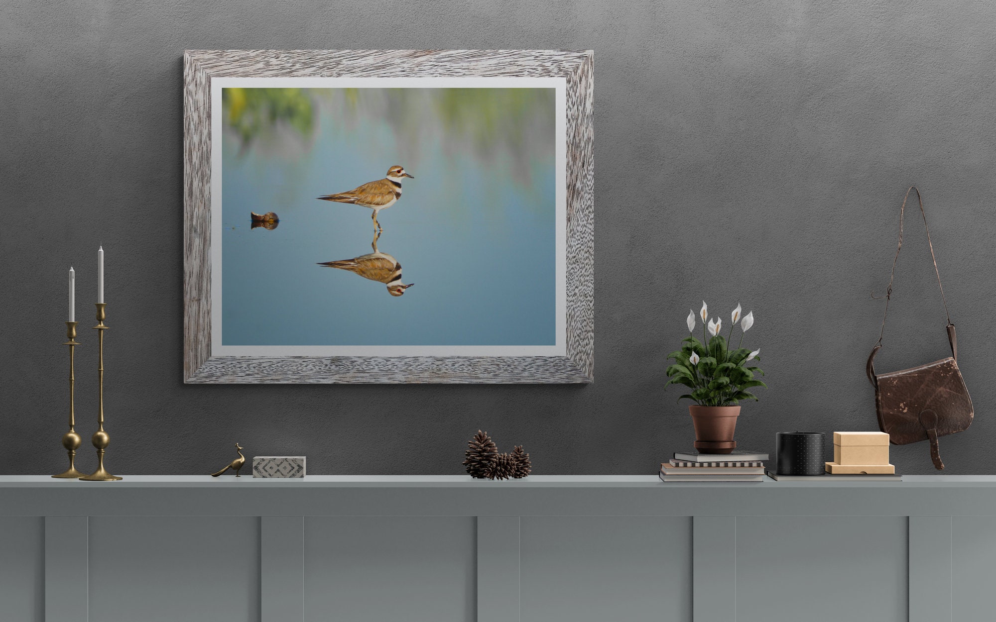 Killdeer Florida Shore Bird Photo Wildlife Artwork - Etsy