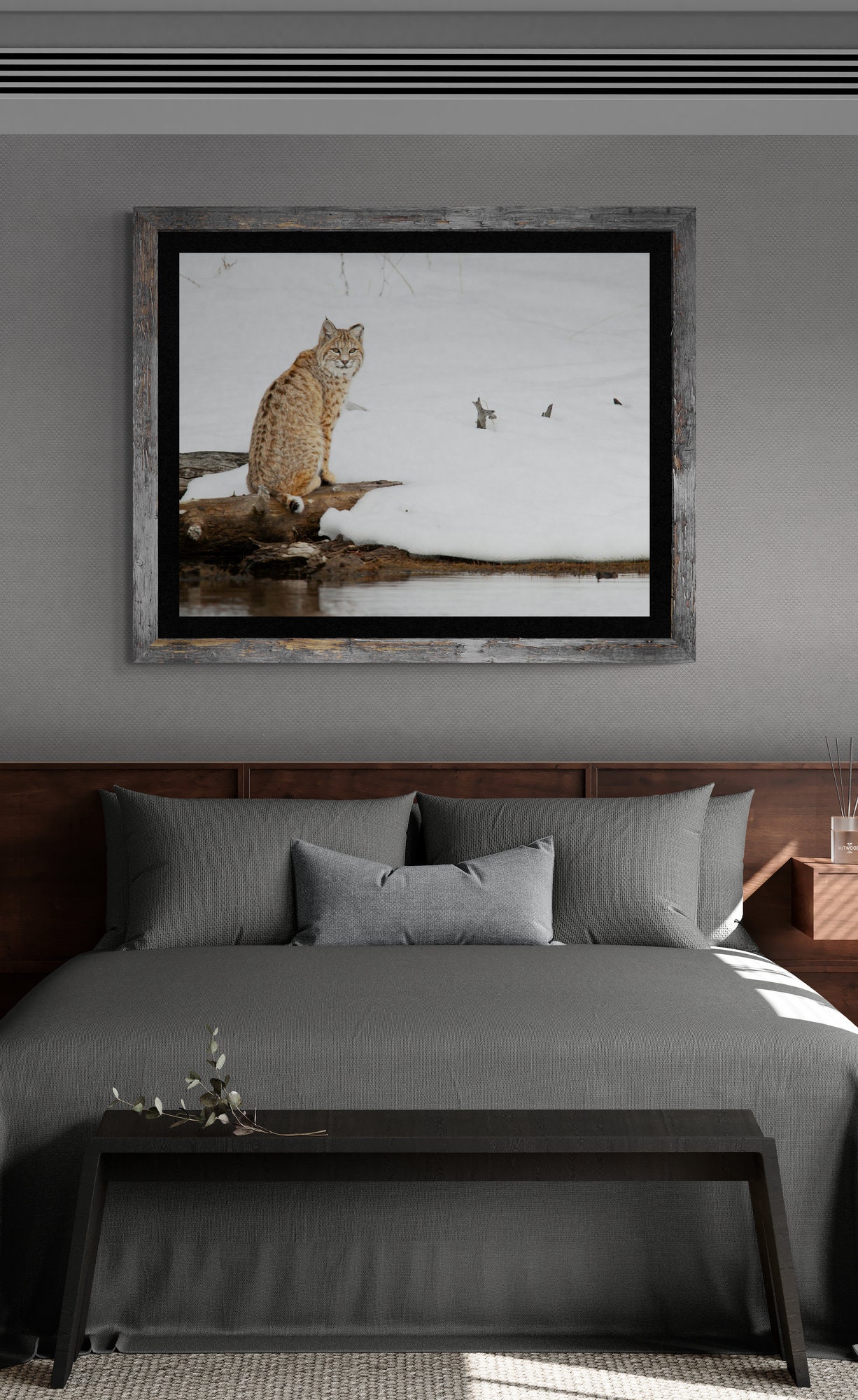 Bobcat Sitting on the Bank of the Madison River in Yellowstone National ...