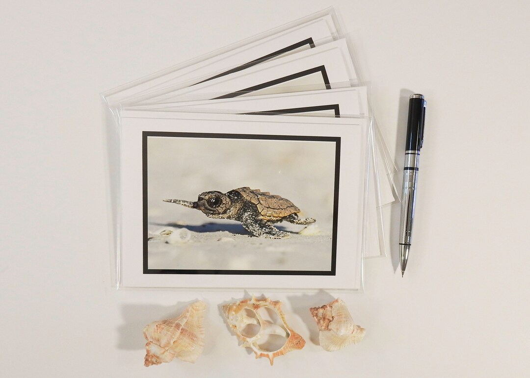 Sea Turtle Note Card Wildlife Artwork Nature Greeting Card - Etsy
