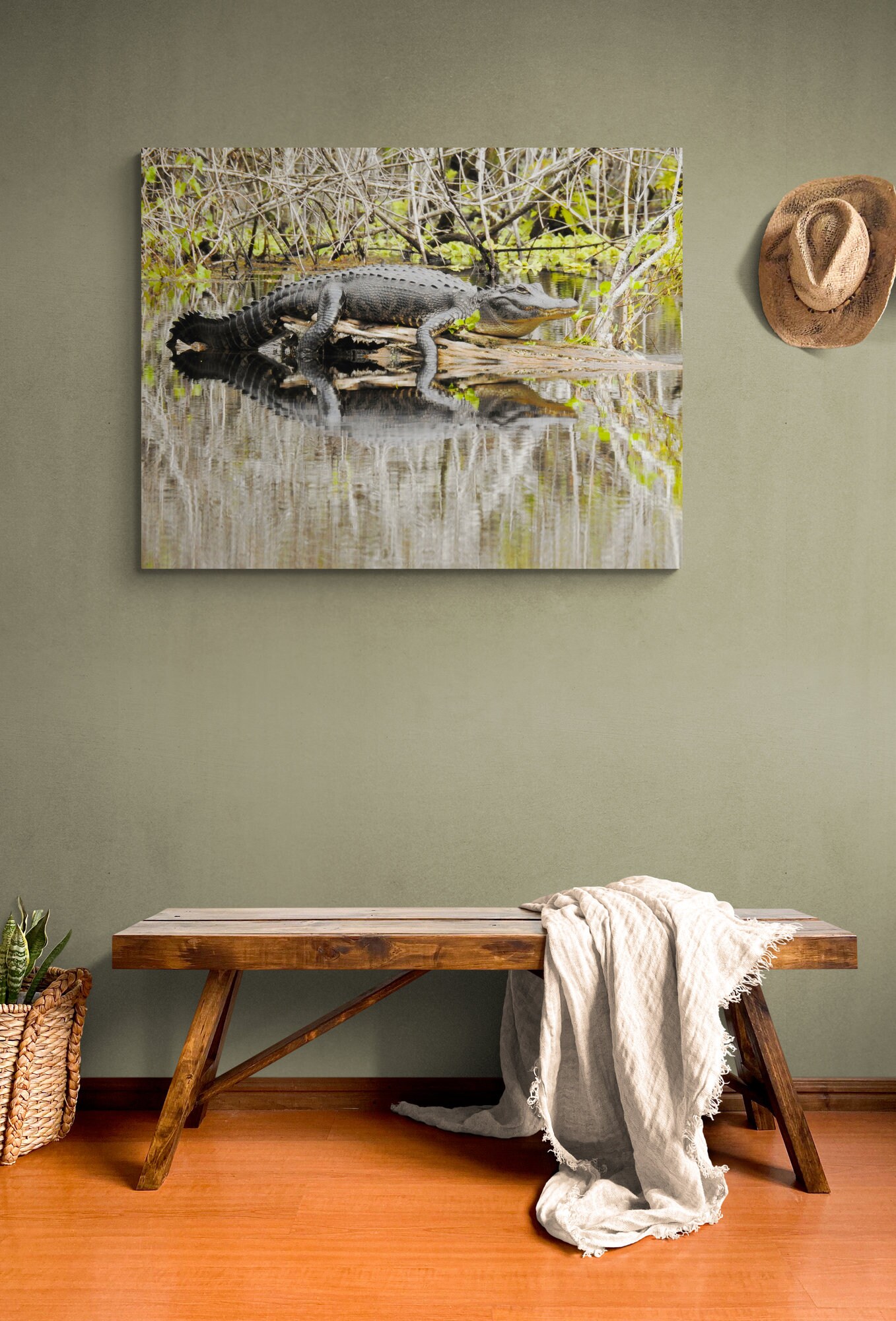 American Alligator at Six Mile Cypress Slough Preserve: Reptile Wall ...