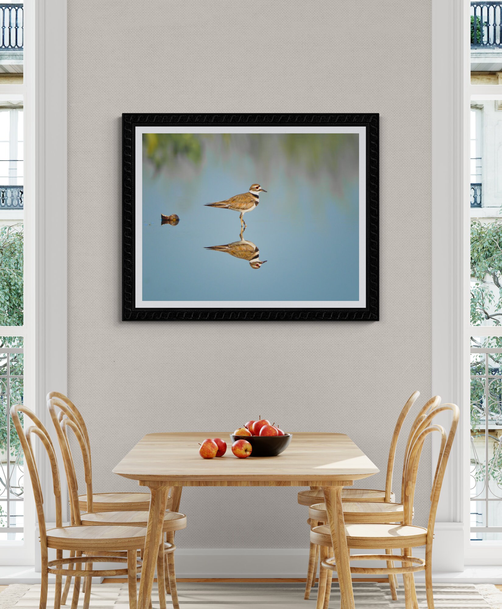 Killdeer Florida Shore Bird Photo Wildlife Artwork - Etsy