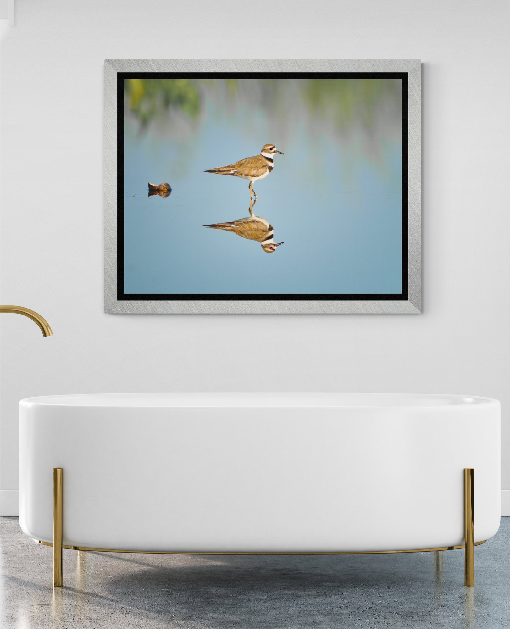 Killdeer Florida Shore Bird Photo Wildlife Artwork - Etsy