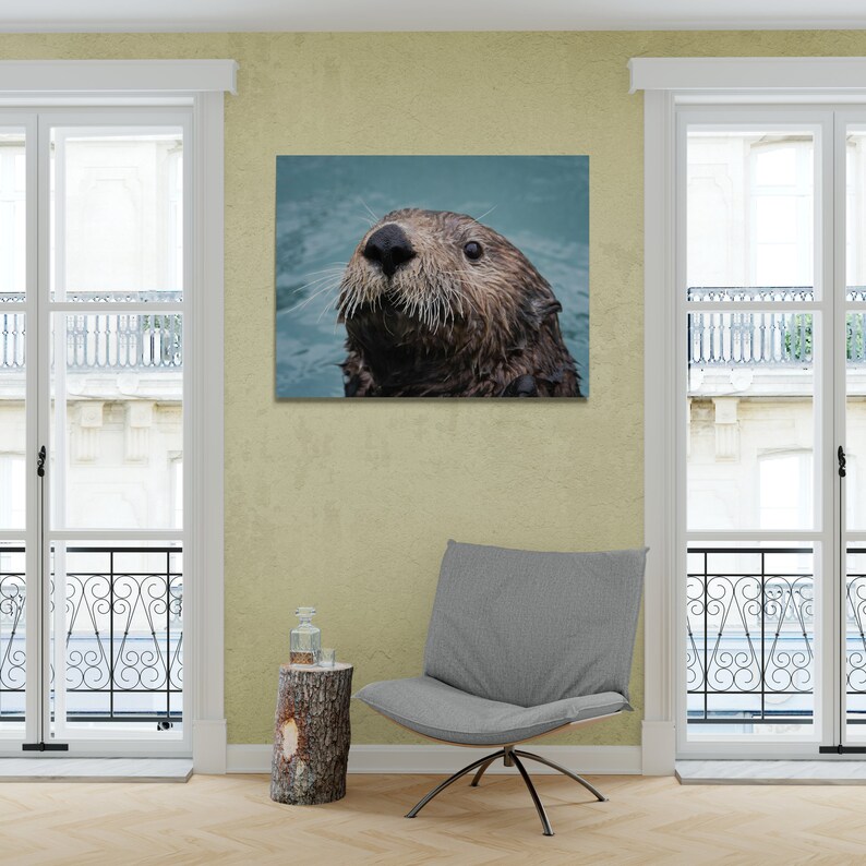 Sea Otter Coming up to Say Hello Wildlife Print Wall Art - Etsy