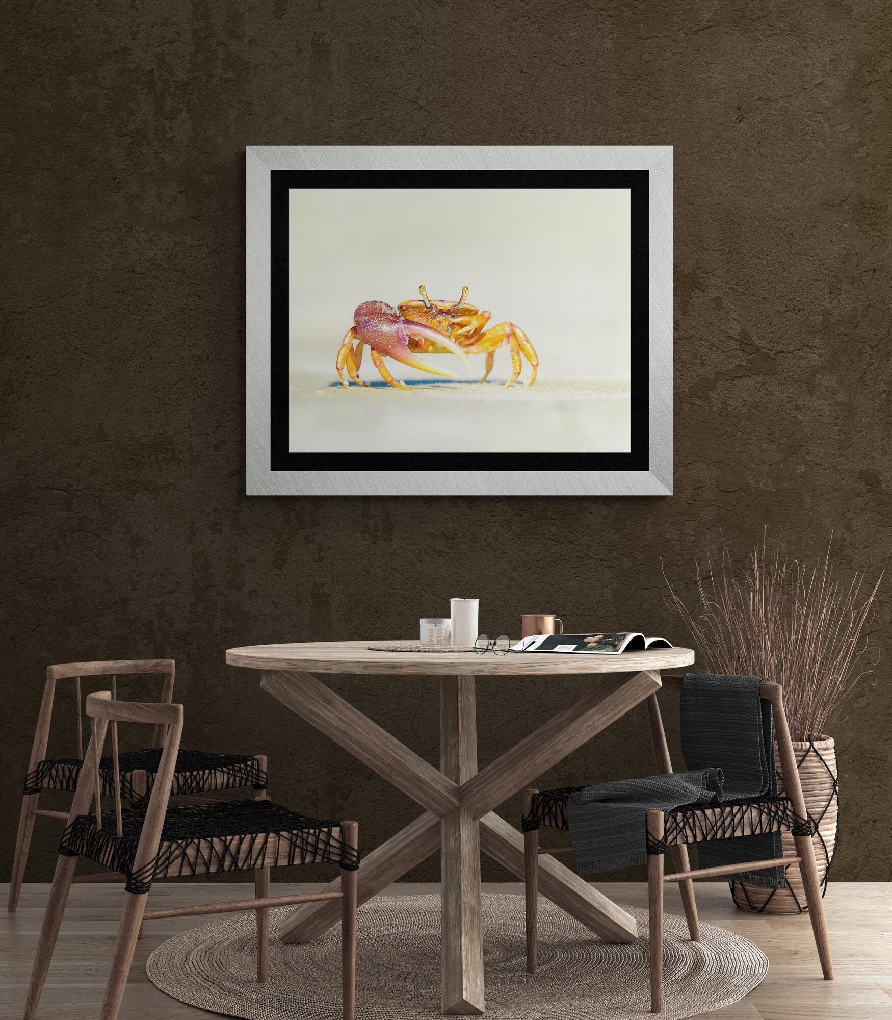 Fiddler Crab Florida Crustacean Wildlife Photo - Etsy