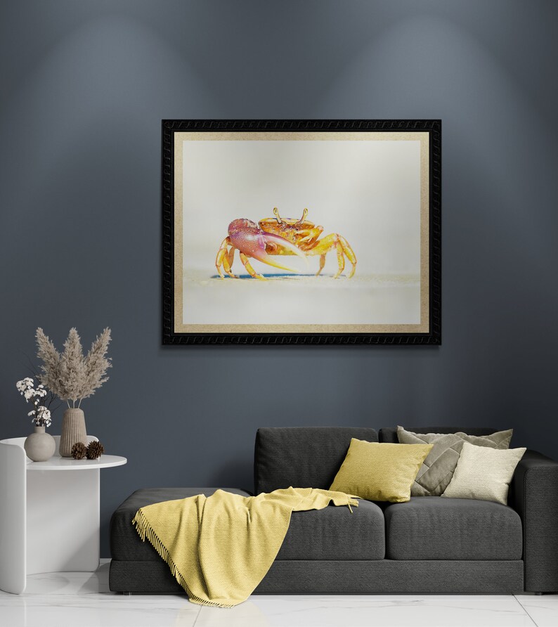 Fiddler Crab Florida Crustacean Wildlife Photo - Etsy
