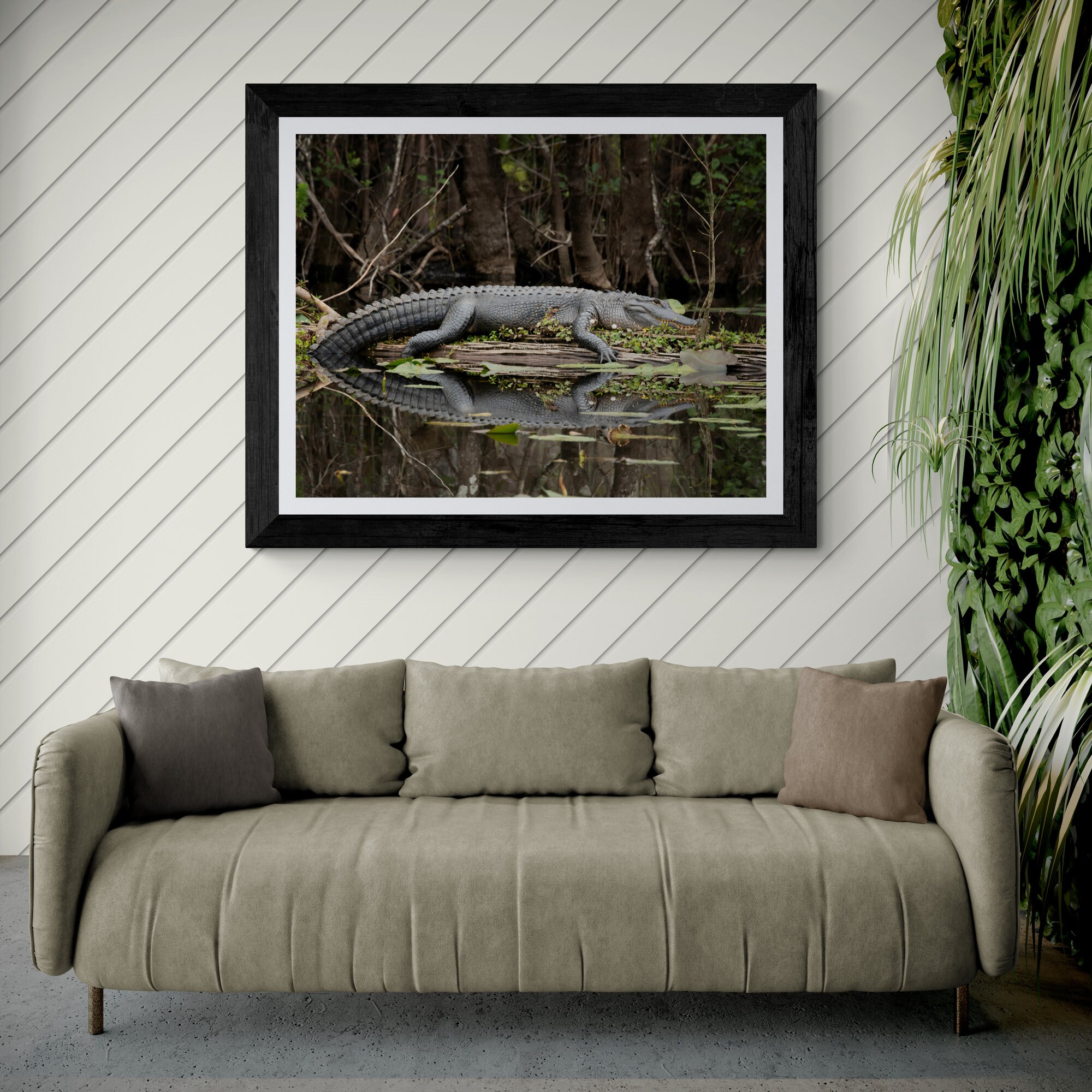 American Alligator at Six Mile Cypress Slough Preserve: Reptile Decor ...