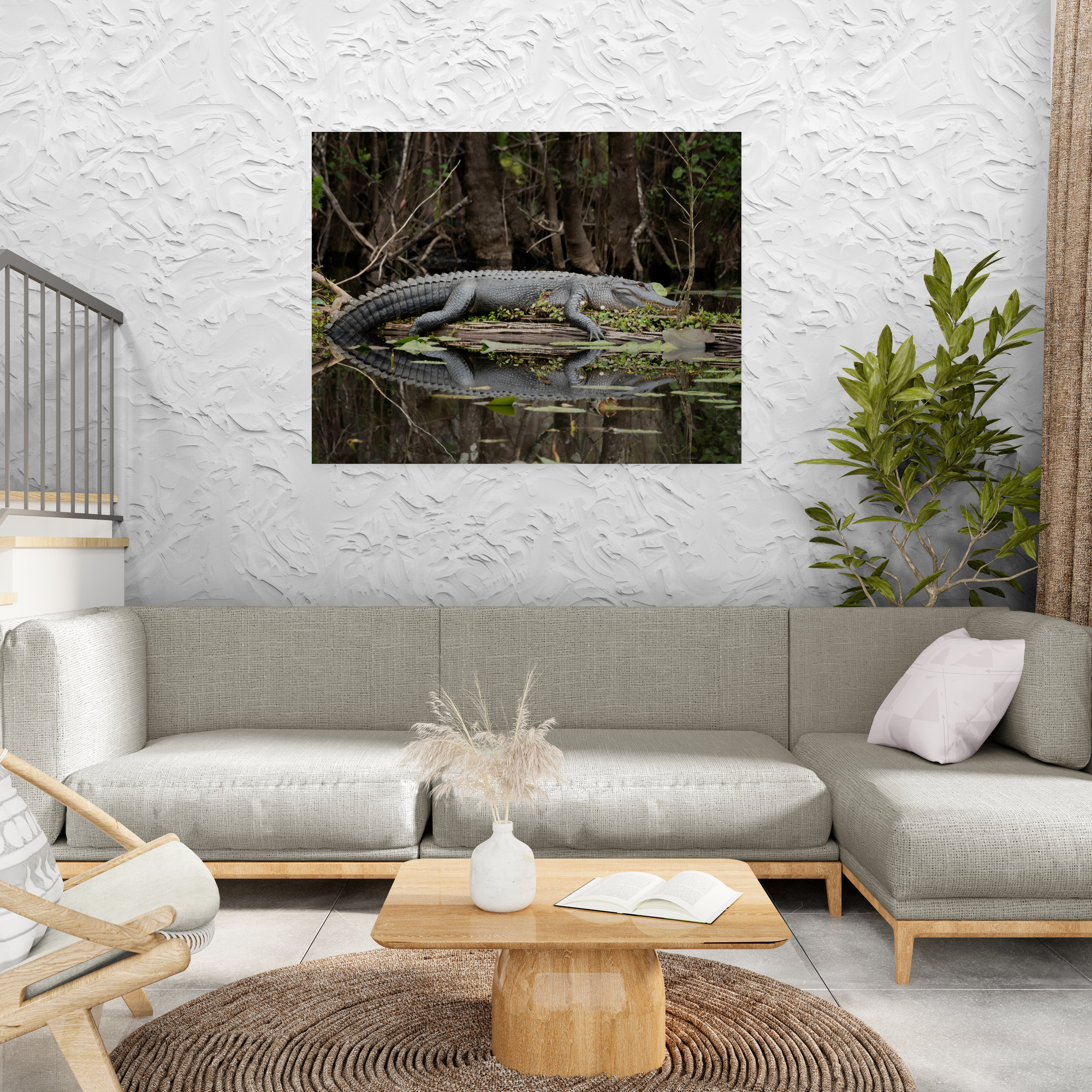 American Alligator at Six Mile Cypress Slough Preserve: Reptile Decor ...